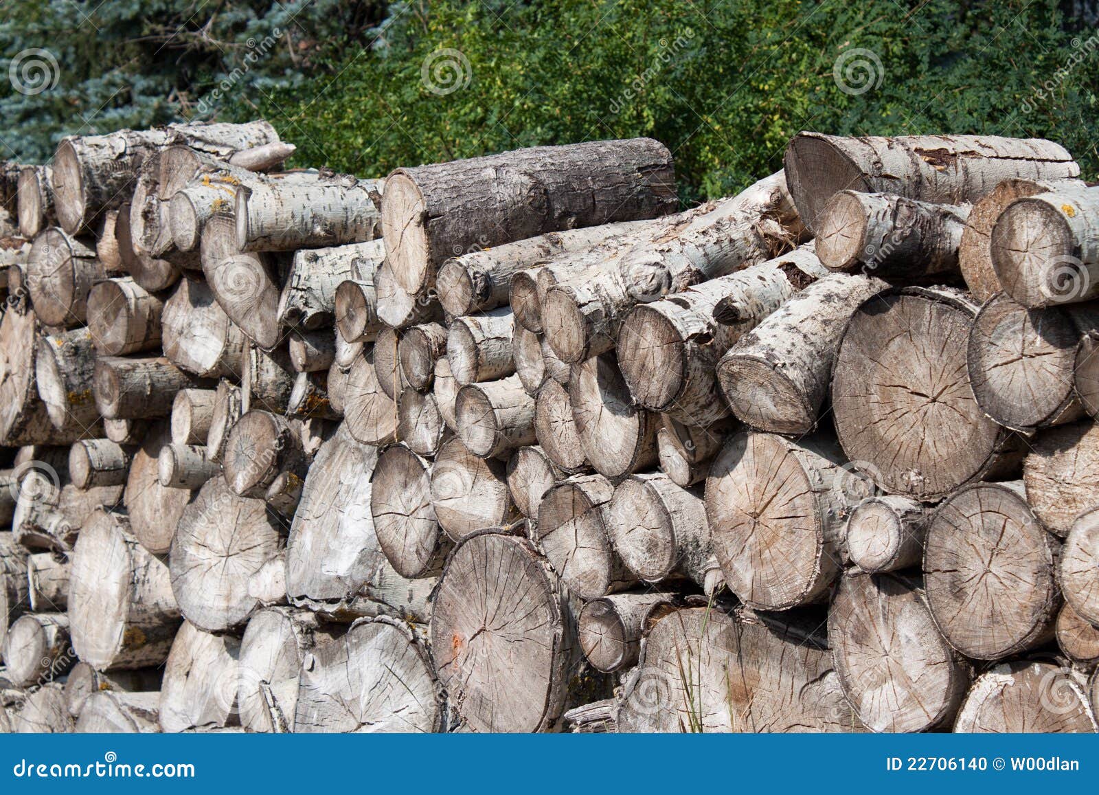 Pile of Wood stock photo. Image of timber, material, texture - 22706140