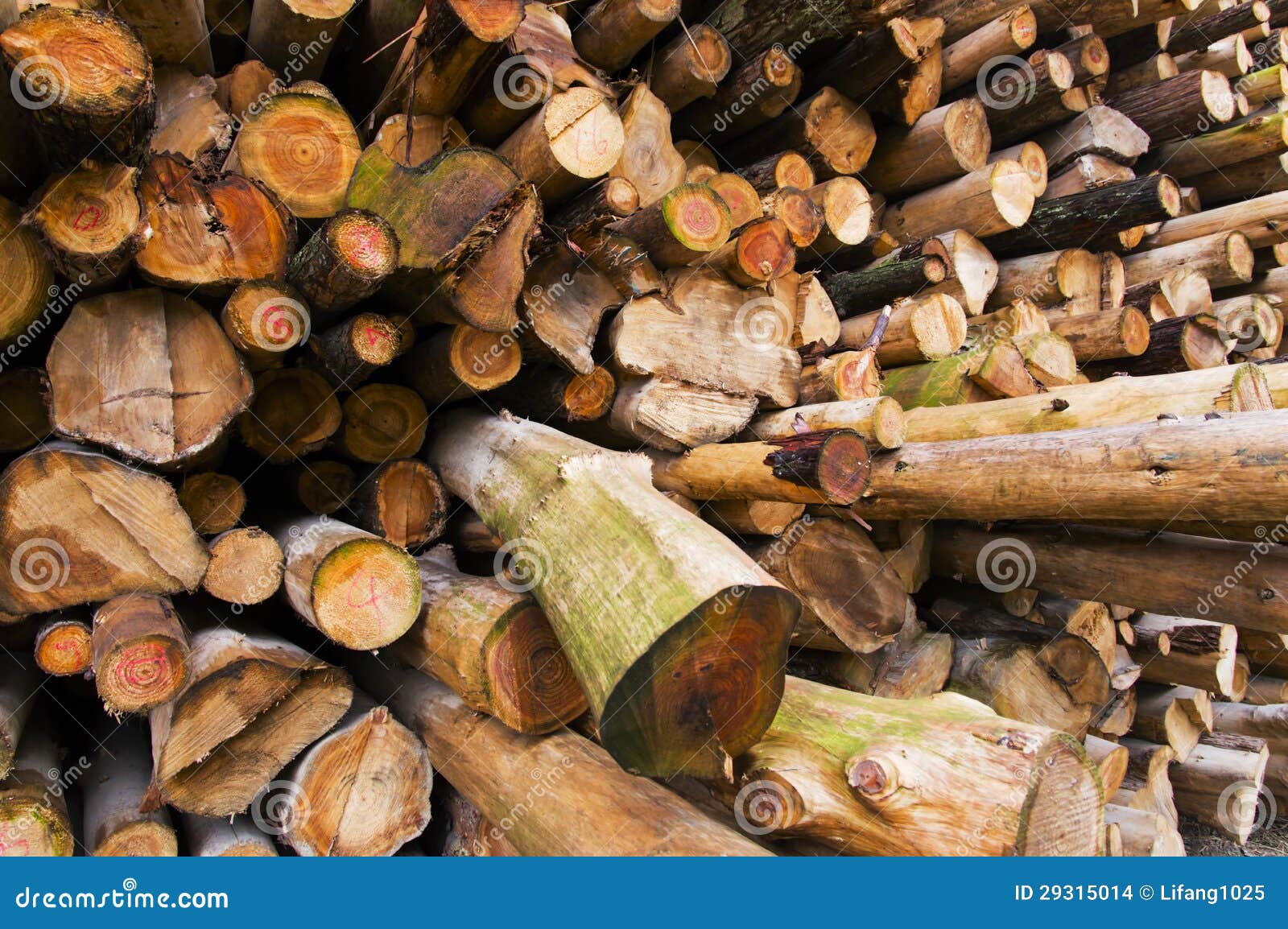 Pile of Wood stock photo. Image of deforestation, abstract - 29315014