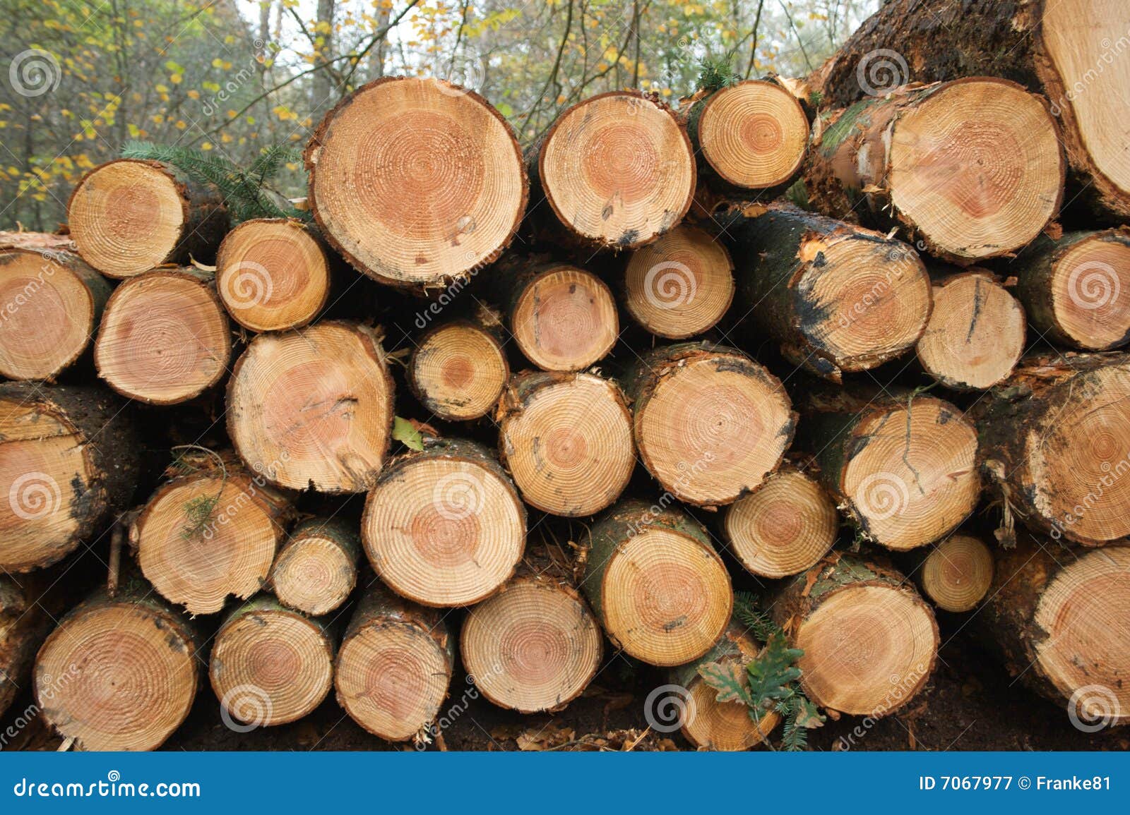 A Pile Of Wood In The Cabin Storage Of Peasant Agriculture Royalty-Free ...