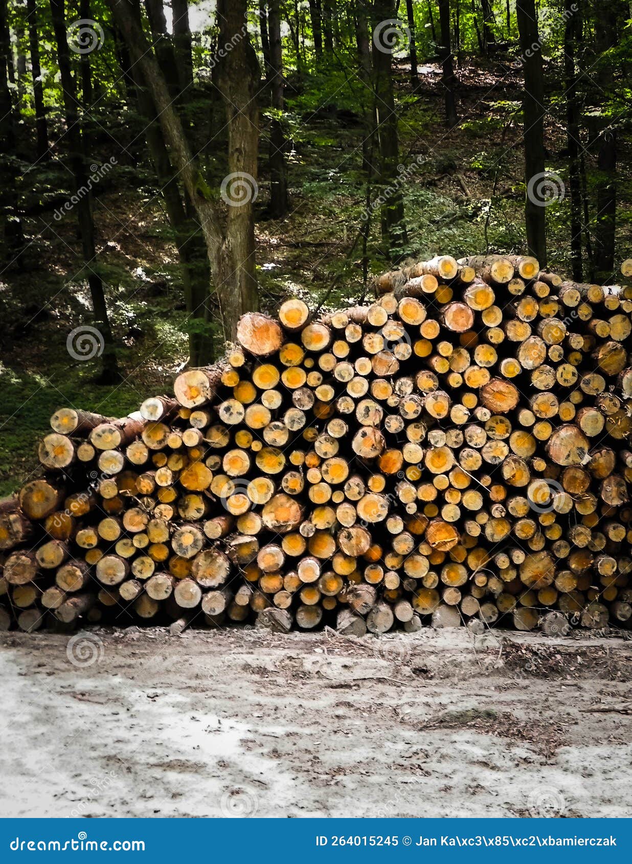 Pile of wood beam stock image. Image of summer, conservation - 264015245