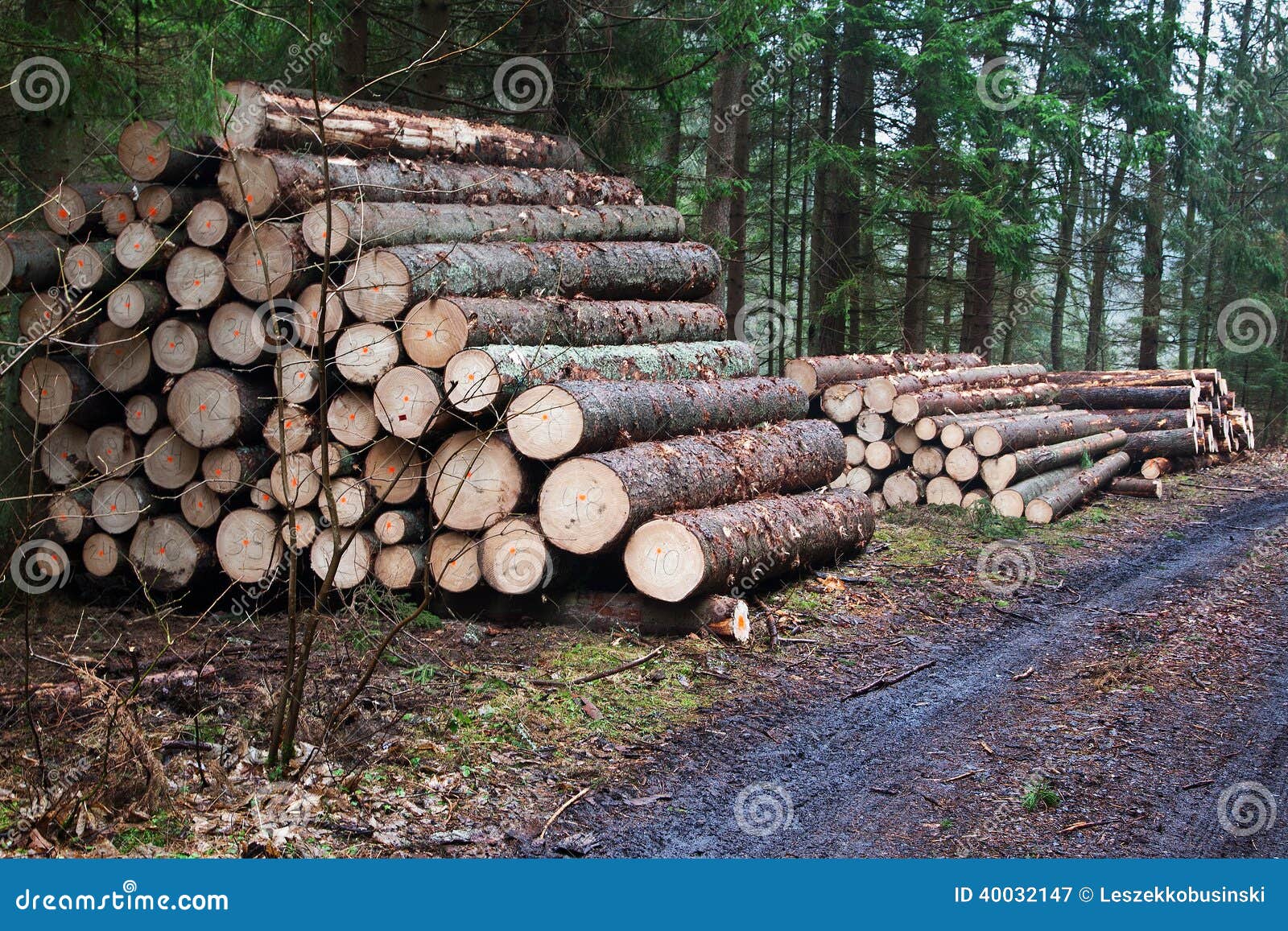 Pile of wood stock image. Image of large, focus, chamomile - 40032147