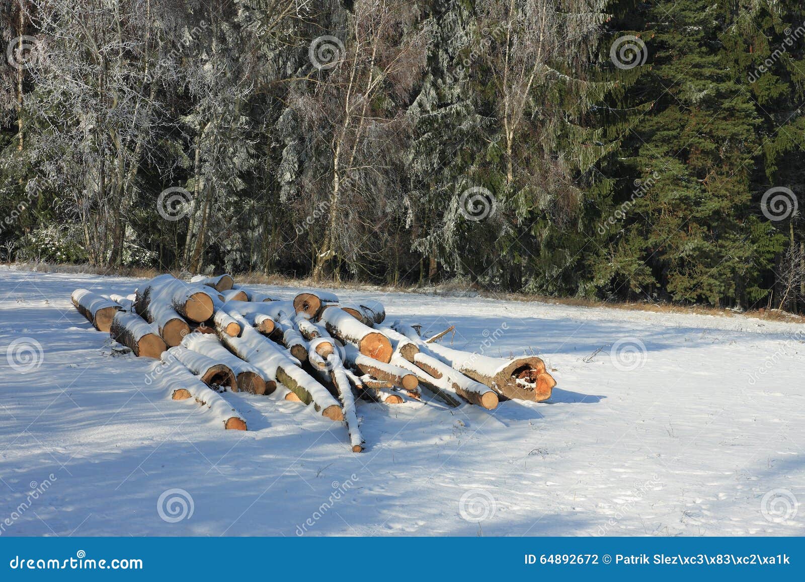 Pile of Wood on Edge Forest Covered in Snow Stock Photo - Image of ...