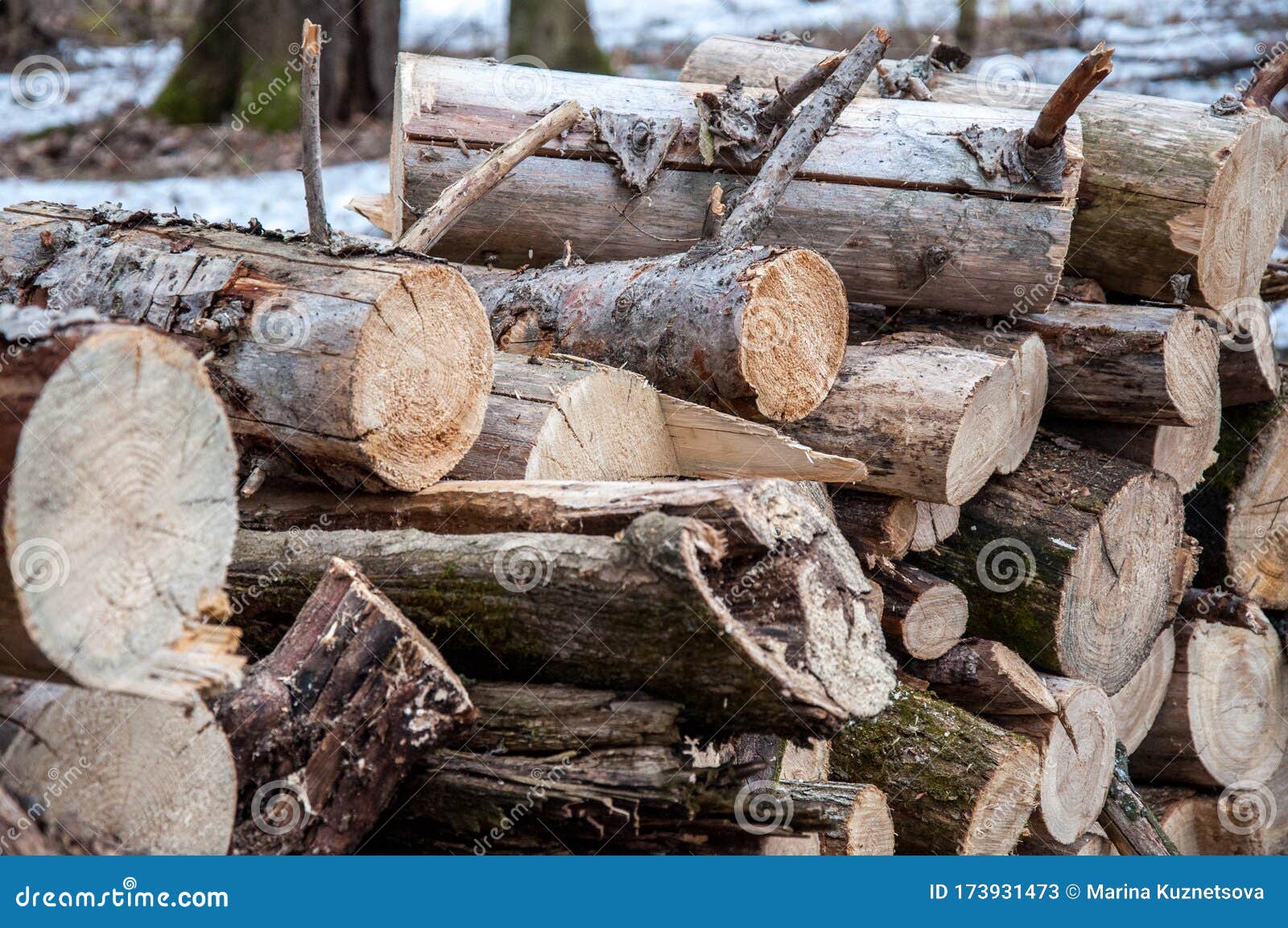 Pile of Wood Logs for Heating Rustic Cabin Stock Image - Image of wood ...