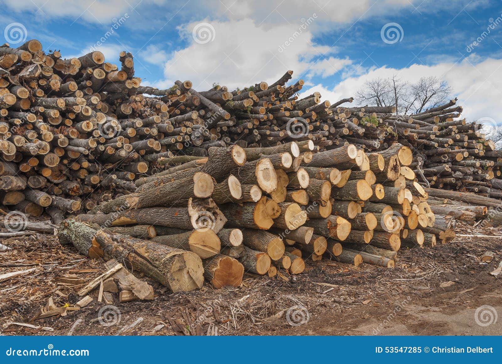 Pile of wood logs stock image. Image of heat, bark, outdoors - 53547285
