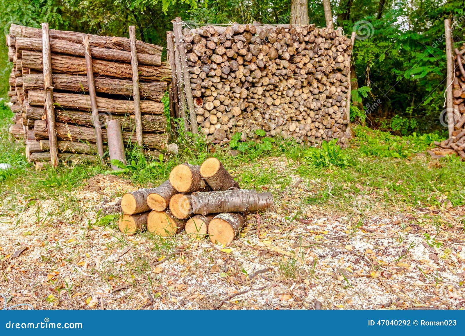 Pile of wood stock photo. Image of heap, bunch, large - 47040292