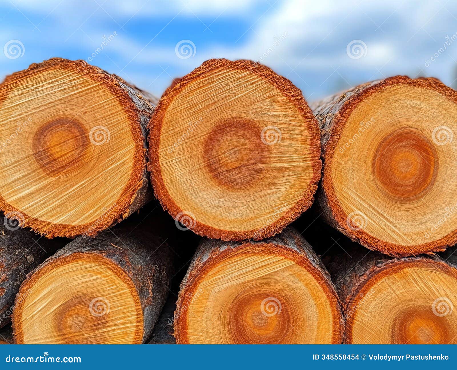 A Pile of Wood Logs Stacked on Top of Each Other Stock Photo - Image of ...