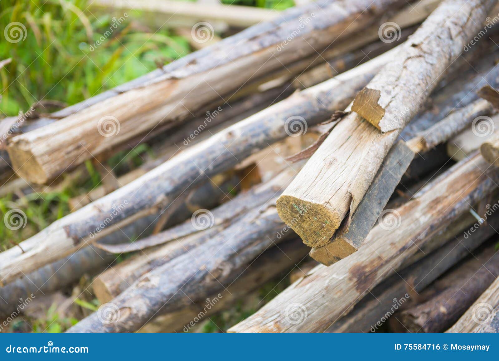 Pile of Wood Timber for Construction Stock Photo - Image of environment ...