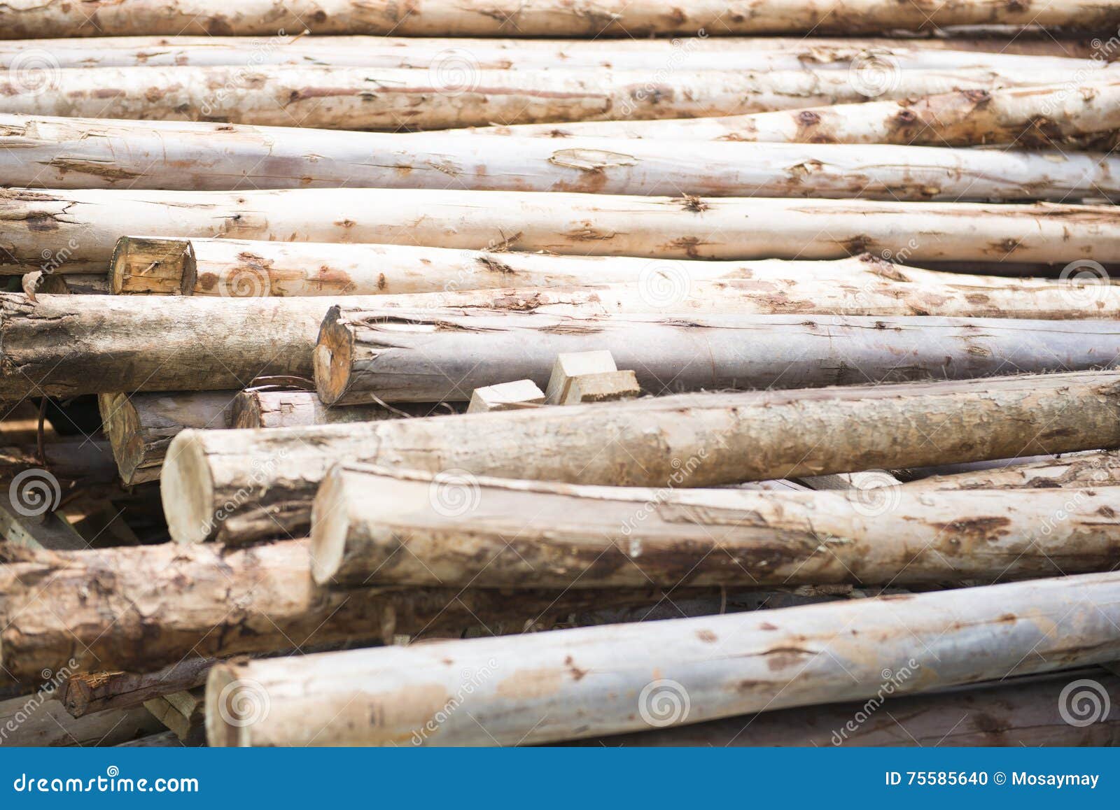 Pile of Wood Timber for Construction Stock Photo - Image of material ...