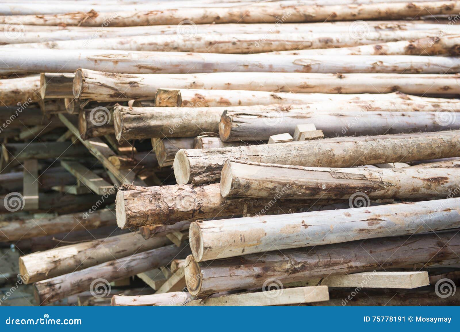 Pile of Wood Timber for Construction Stock Image - Image of wood ...