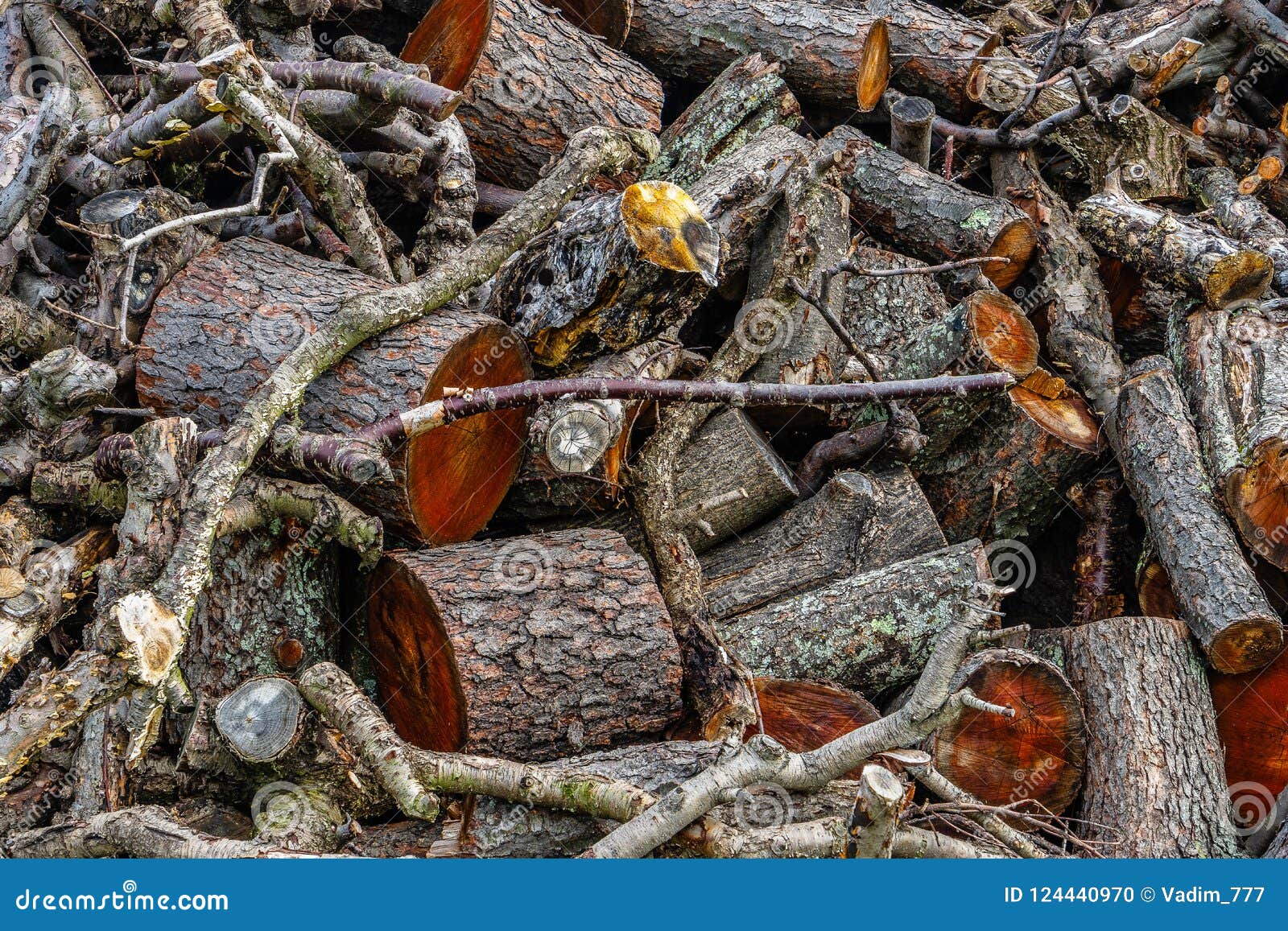 Pile of Wood, Tree Branch or Log, Stock Photo - Image of material ...