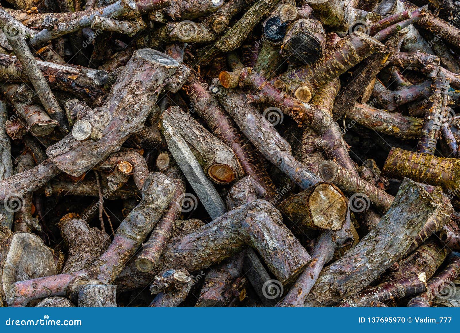 Pile of Wood, Tree Branch or Log. Stock Photo - Image of rough, wooden ...
