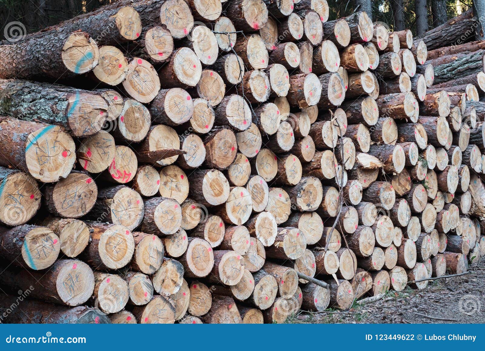 Stacks Of Logs Awaiting Conversion To Lumber Stock Image ...