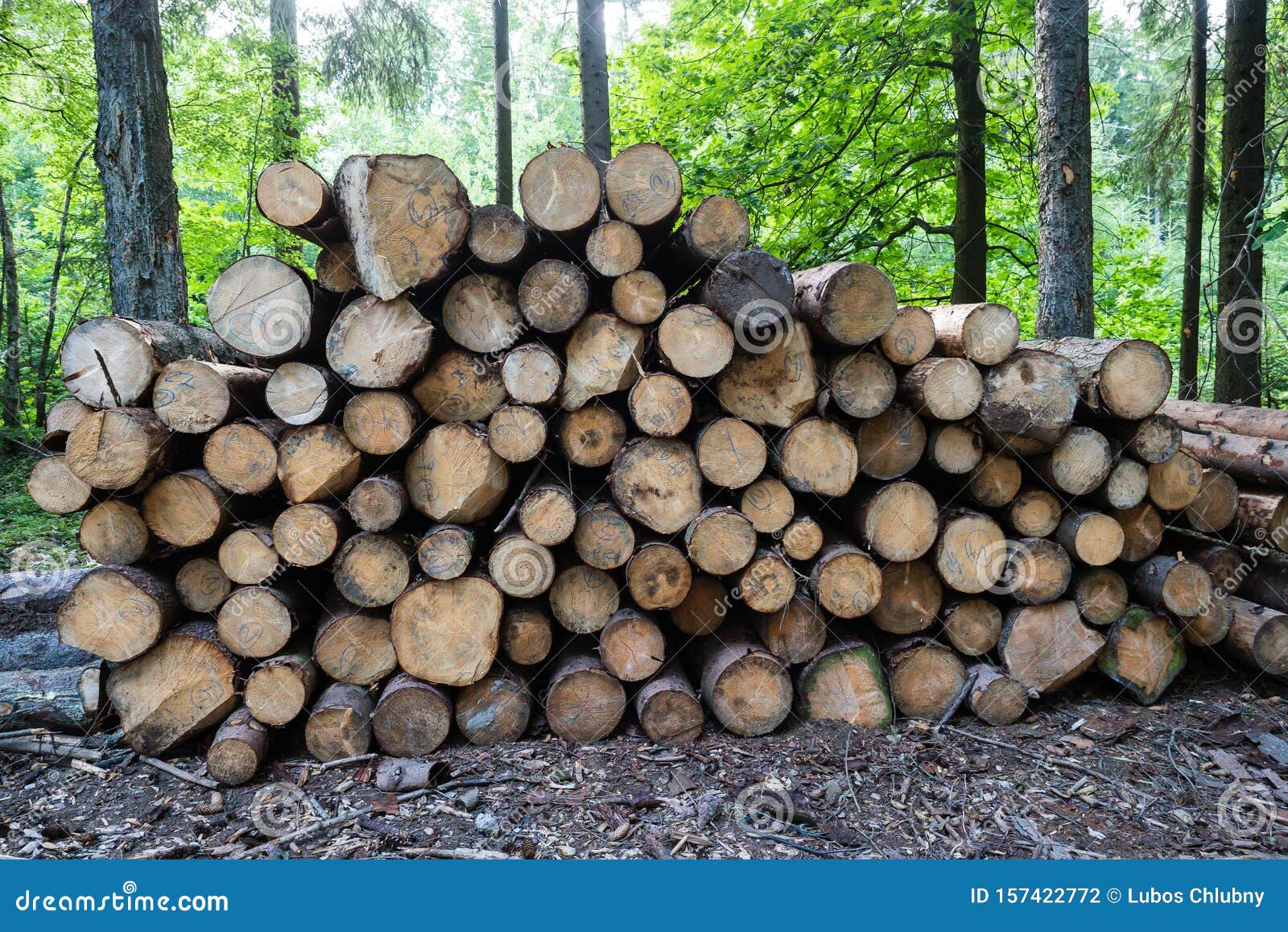 Pile of Wood. a View of Huge Stacks of Logs Stock Photo - Image of ...
