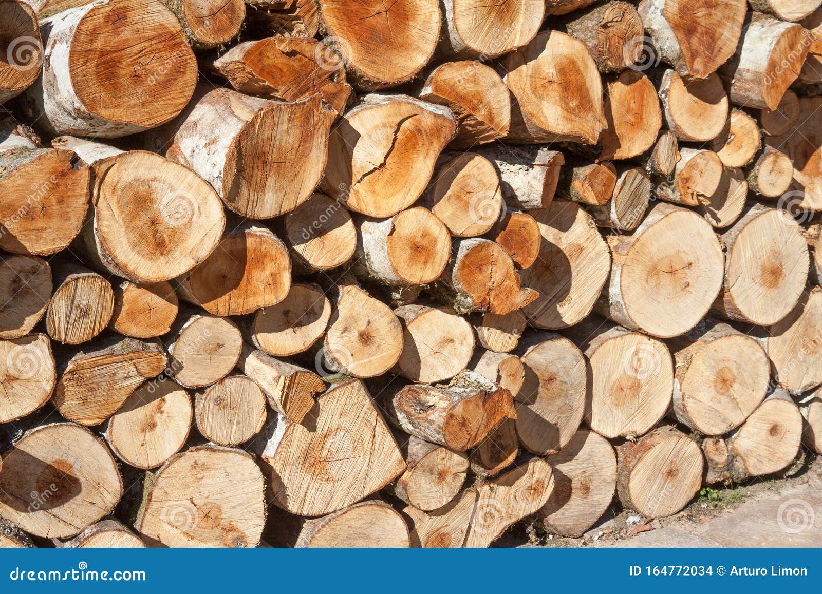 Pile of large wooden logs stock photo. Image of biomass - 164772034