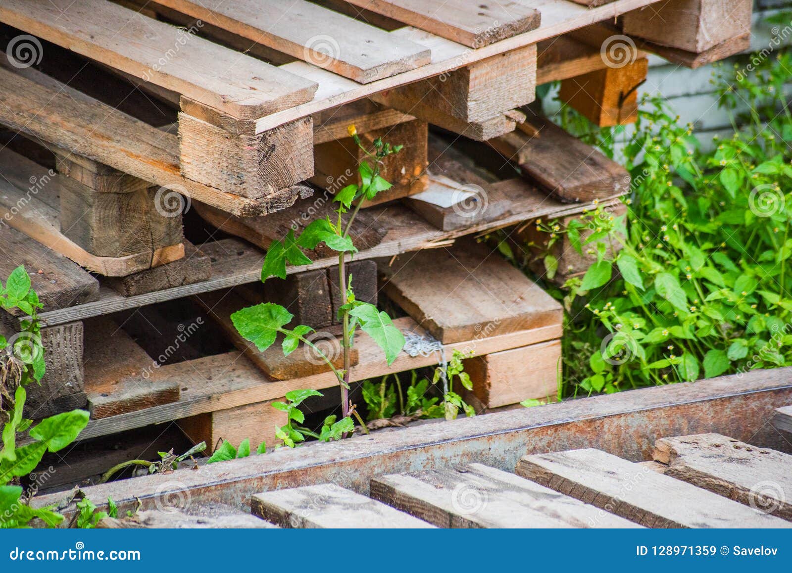 A Pile of Wooden Pallet Dumped in the Grass Stock Image - Image of ...