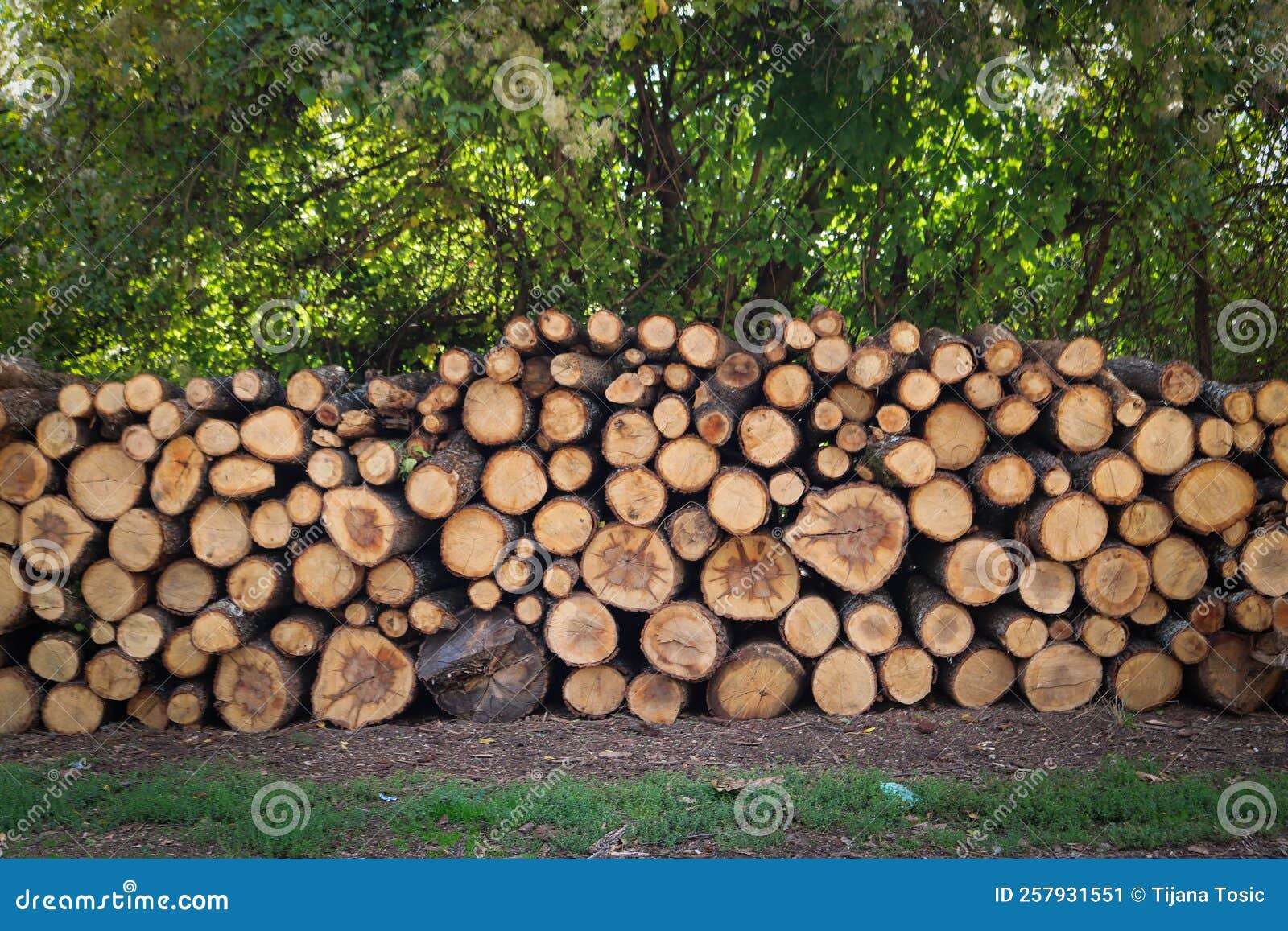 A pile of woods stock image. Image of apile, grass, wall - 257931551