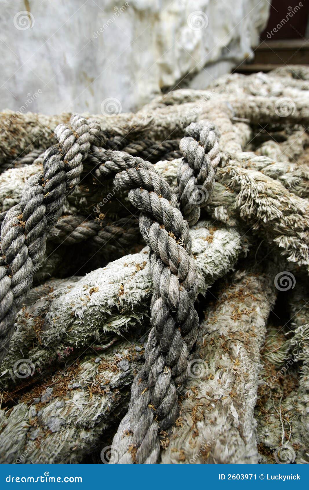 Pile of worn rope stock image. Image of mound, used, pile - 2603971