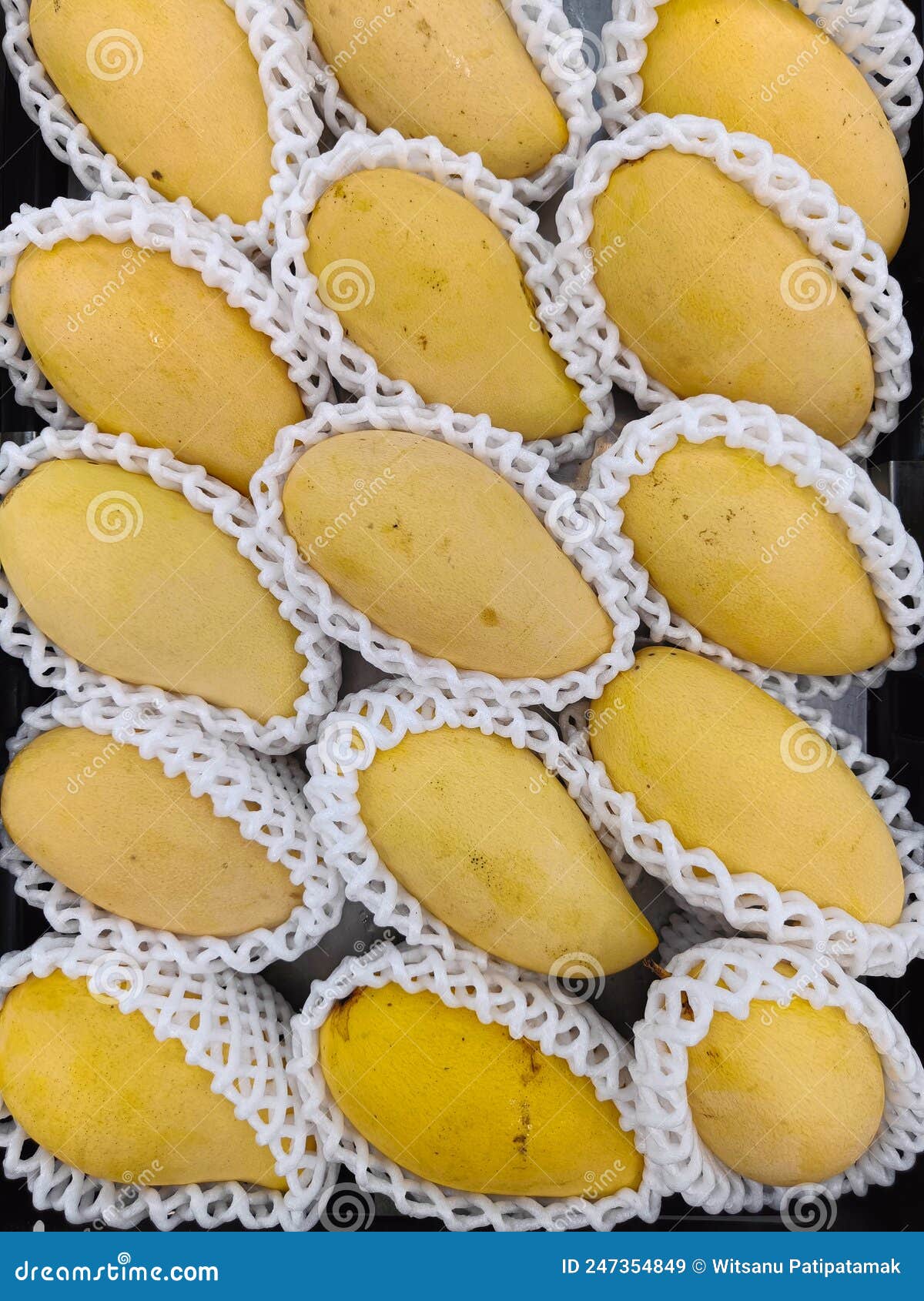 Pile of Yellow Ripe Mango. Sweet Mango with Thin Skin Stock Image ...