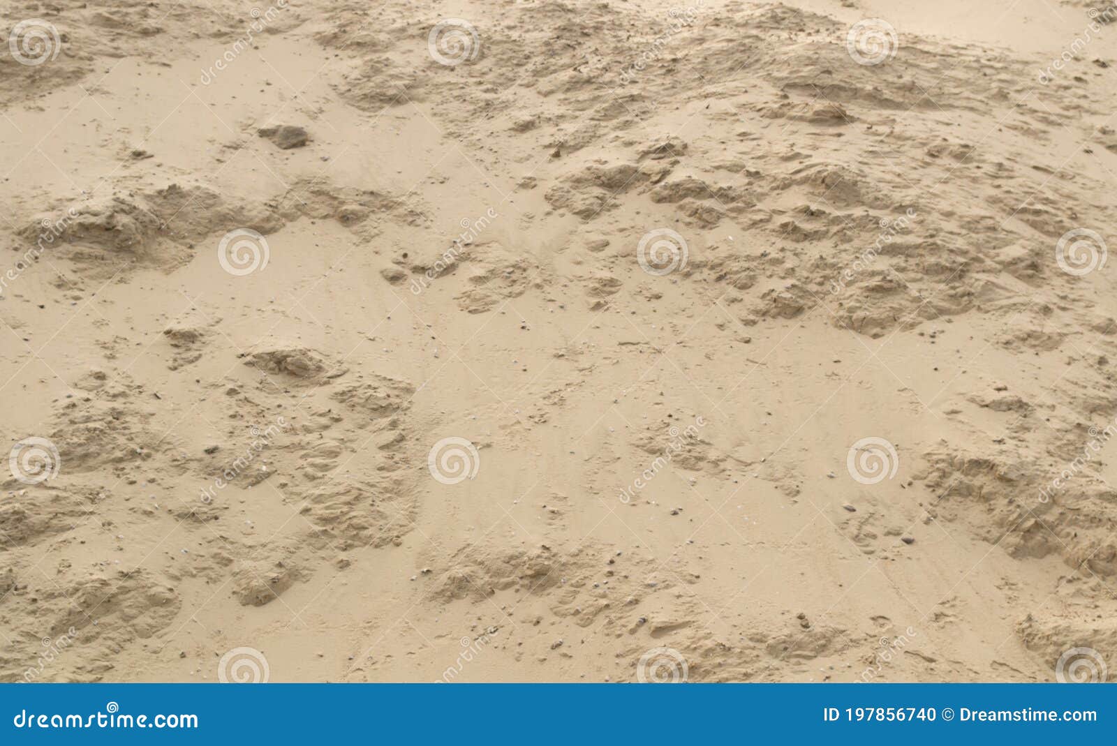 River sand stock photo. Image of summer, coast, brown - 197856740