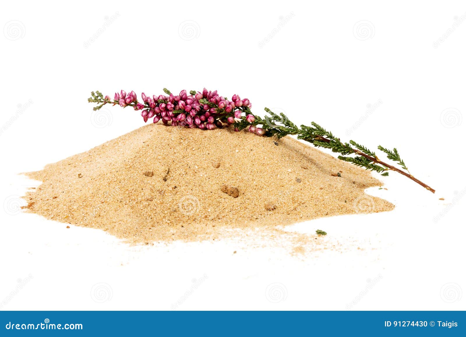Pile of Yellow Sand and Heather Twig Stock Photo - Image of closeup ...