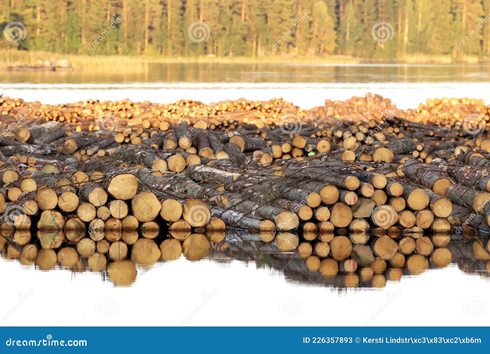 Timber Floating On The River Royalty-Free Stock Photo | CartoonDealer ...
