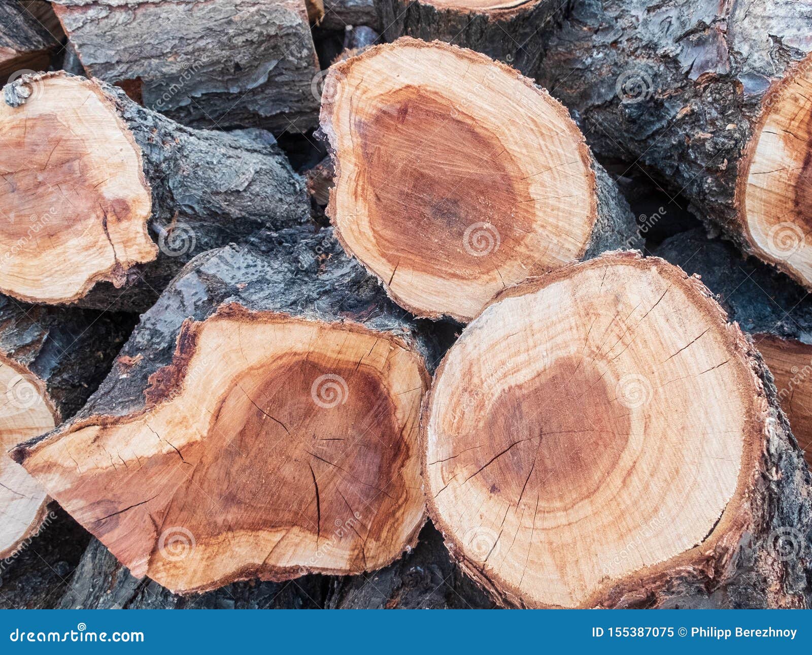 Piled Pine Tree Logs. Stacks of Cut Wood Stock Image - Image of rough ...