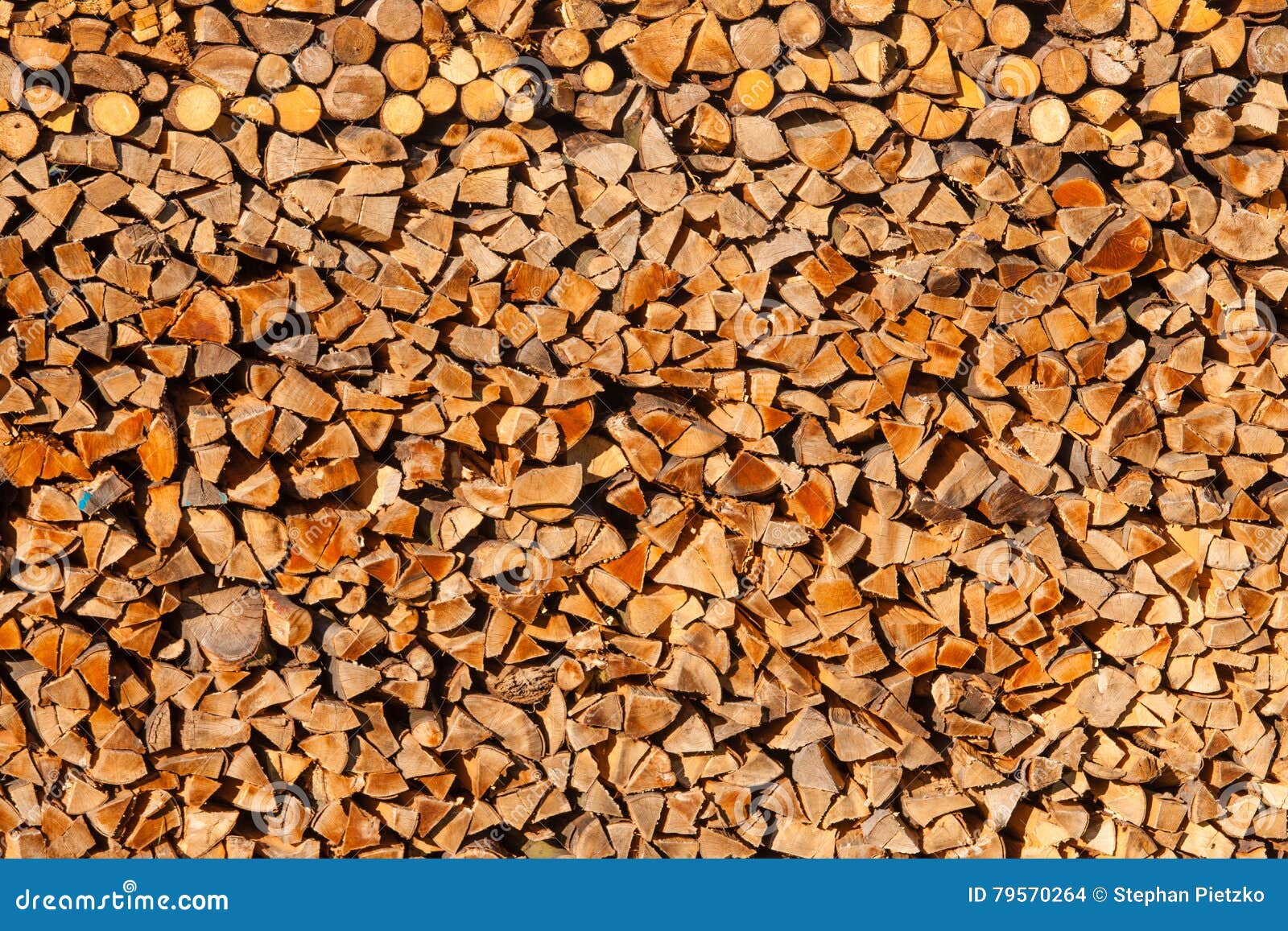 Piled Split Forest Wood Logs Renewable Heat Energy Stock Photo - Image ...
