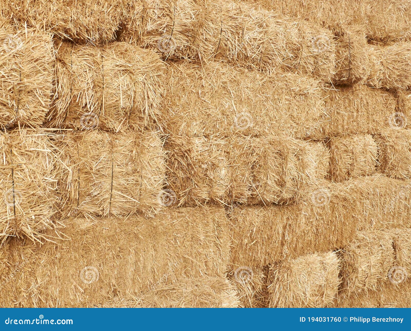 Piled Stacks of Dry Golden Hay Straw Stock Photo - Image of bale, field ...