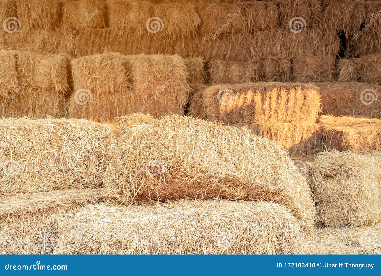 Piled Stacks of Dry Straw Collected for Animal Feed. Stock Photo ...