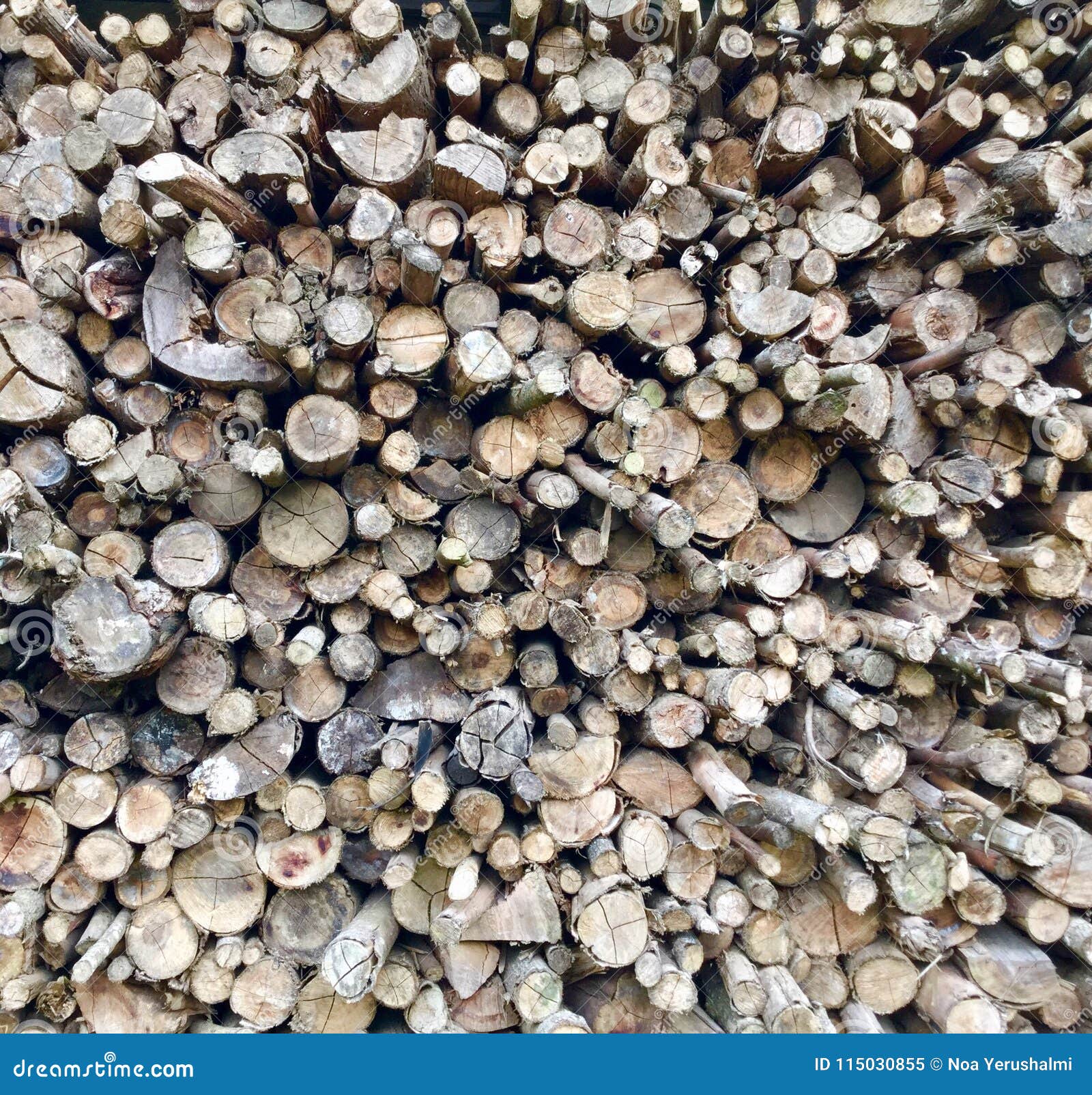 Delimb Stock Photos - Free & Royalty-Free Stock Photos from Dreamstime