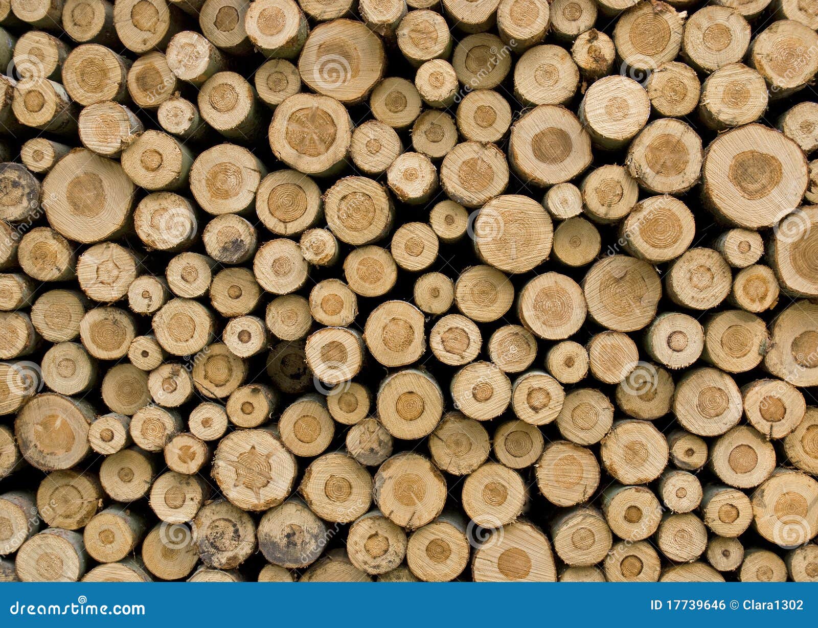 Piled up logs stock photo. Image of detail, boles, forestry - 17739646