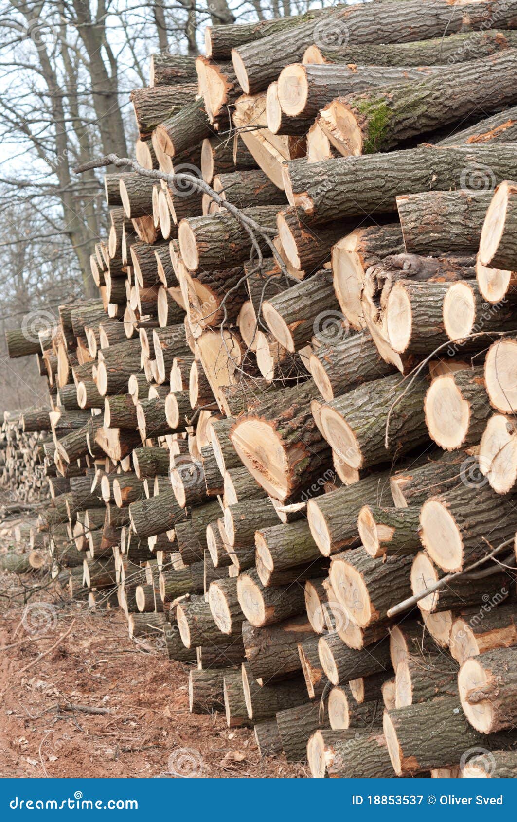 Piled up logs stock image. Image of concept, pattern - 18853537