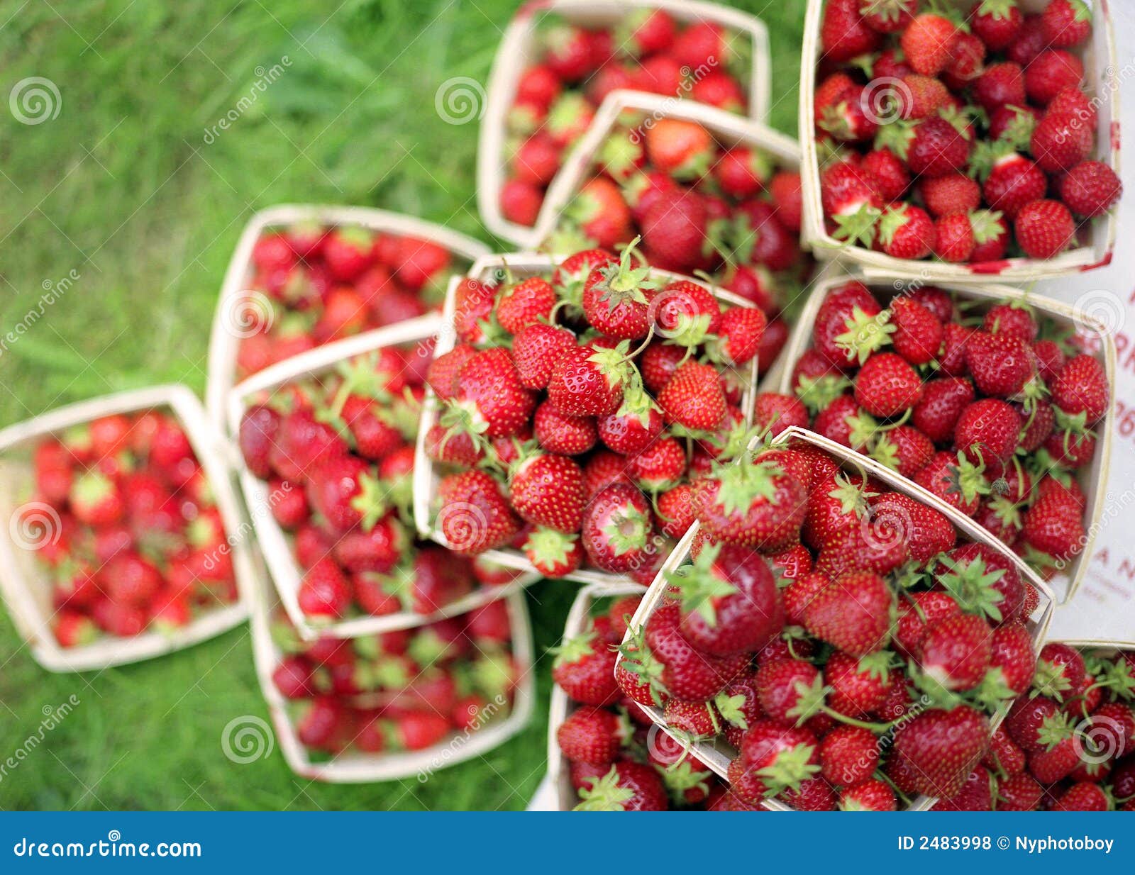 Piles of Berries stock photo. Image of picked, produce - 2483998