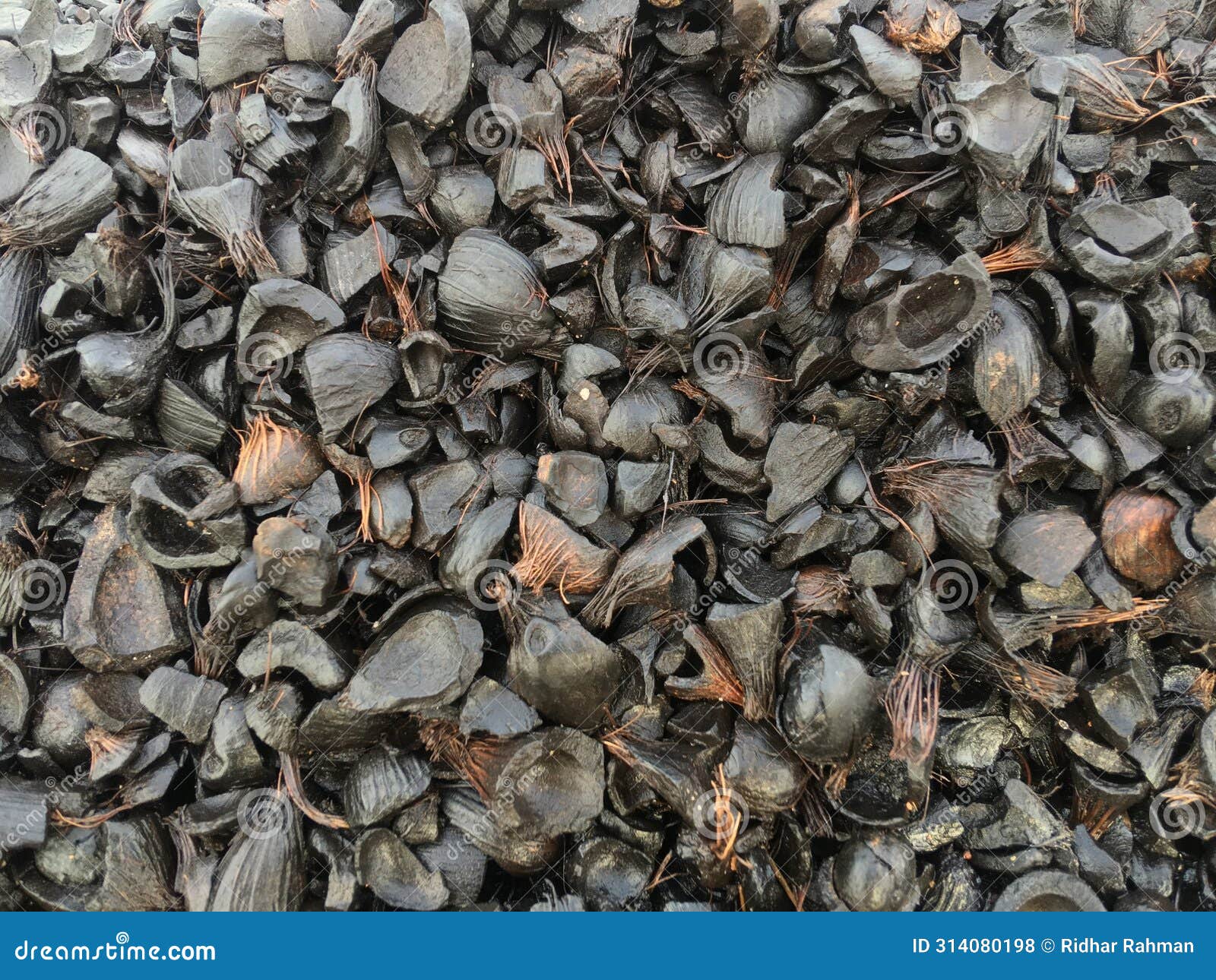 Piles of Black Palm Kernel Shells Stock Photo - Image of nature, piles ...