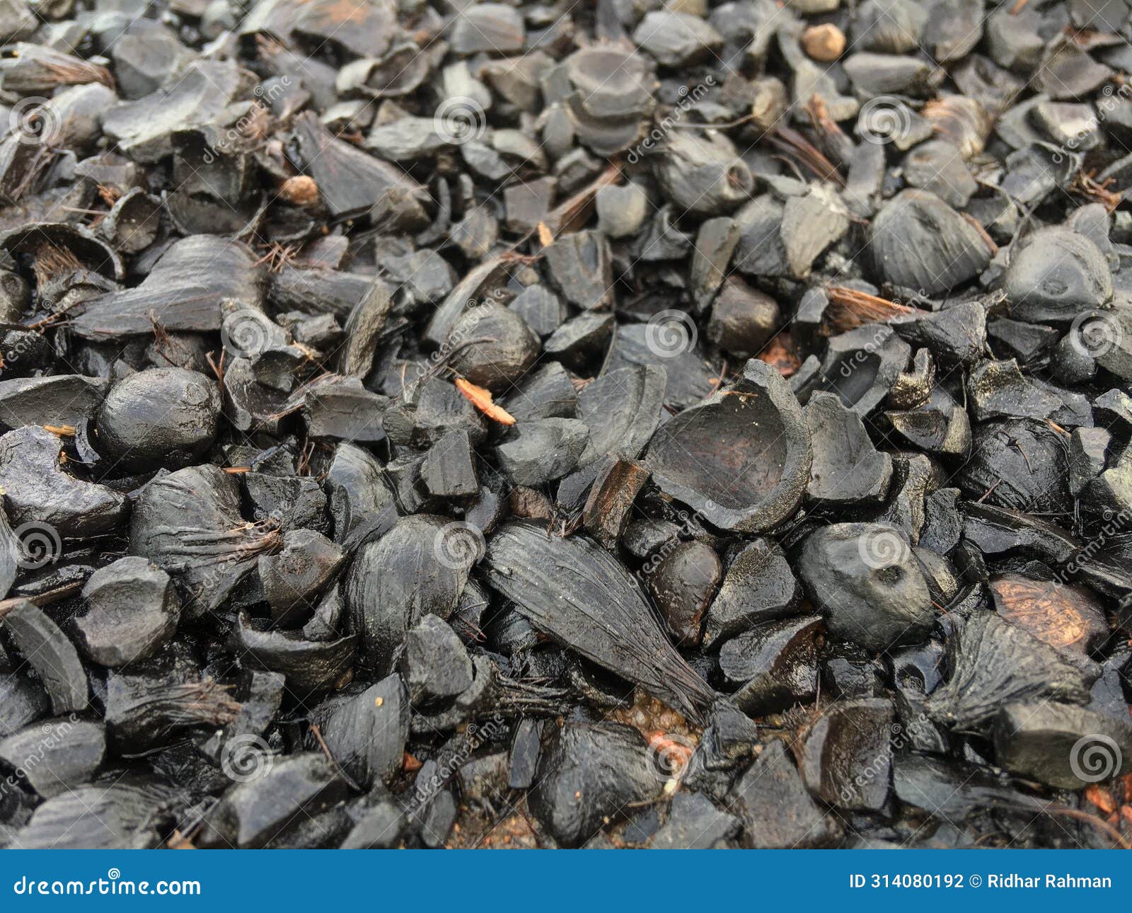 Piles of Black Palm Kernel Shells Stock Photo - Image of energy, pile ...