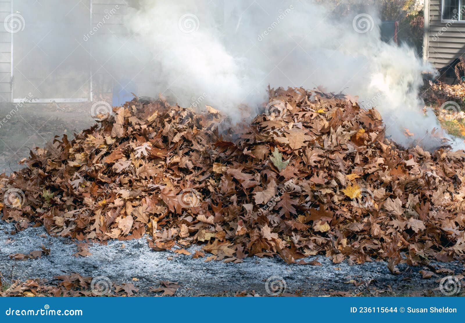 Piles Of Leaves Royalty-Free Stock Image | CartoonDealer.com #46214248