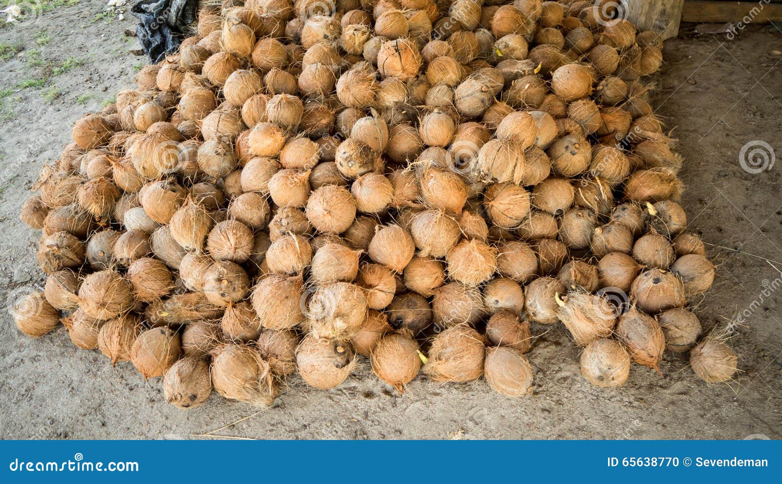 Piles of coconut shells. stock photo. Image of food, diet - 65638770