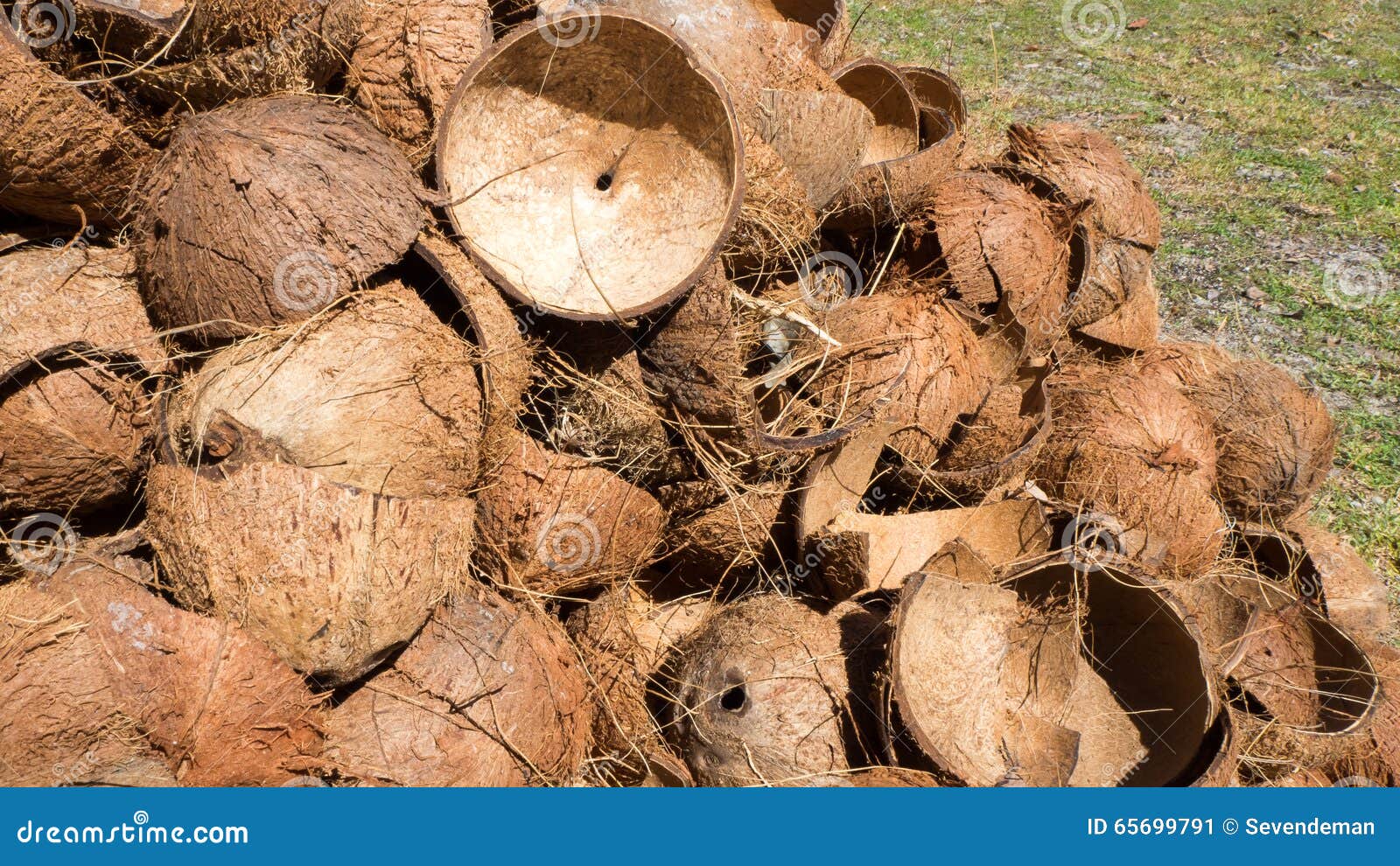 Piles of coconut shells. stock image. Image of cocoa - 65699791