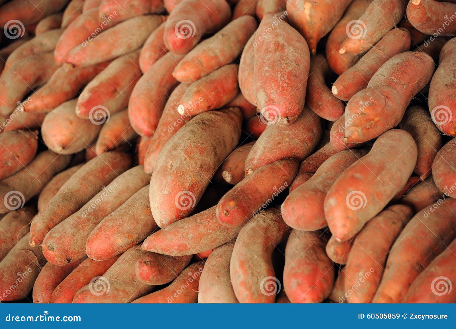 Piles de patate douce image stock. Image du légume, ferme - 60505859