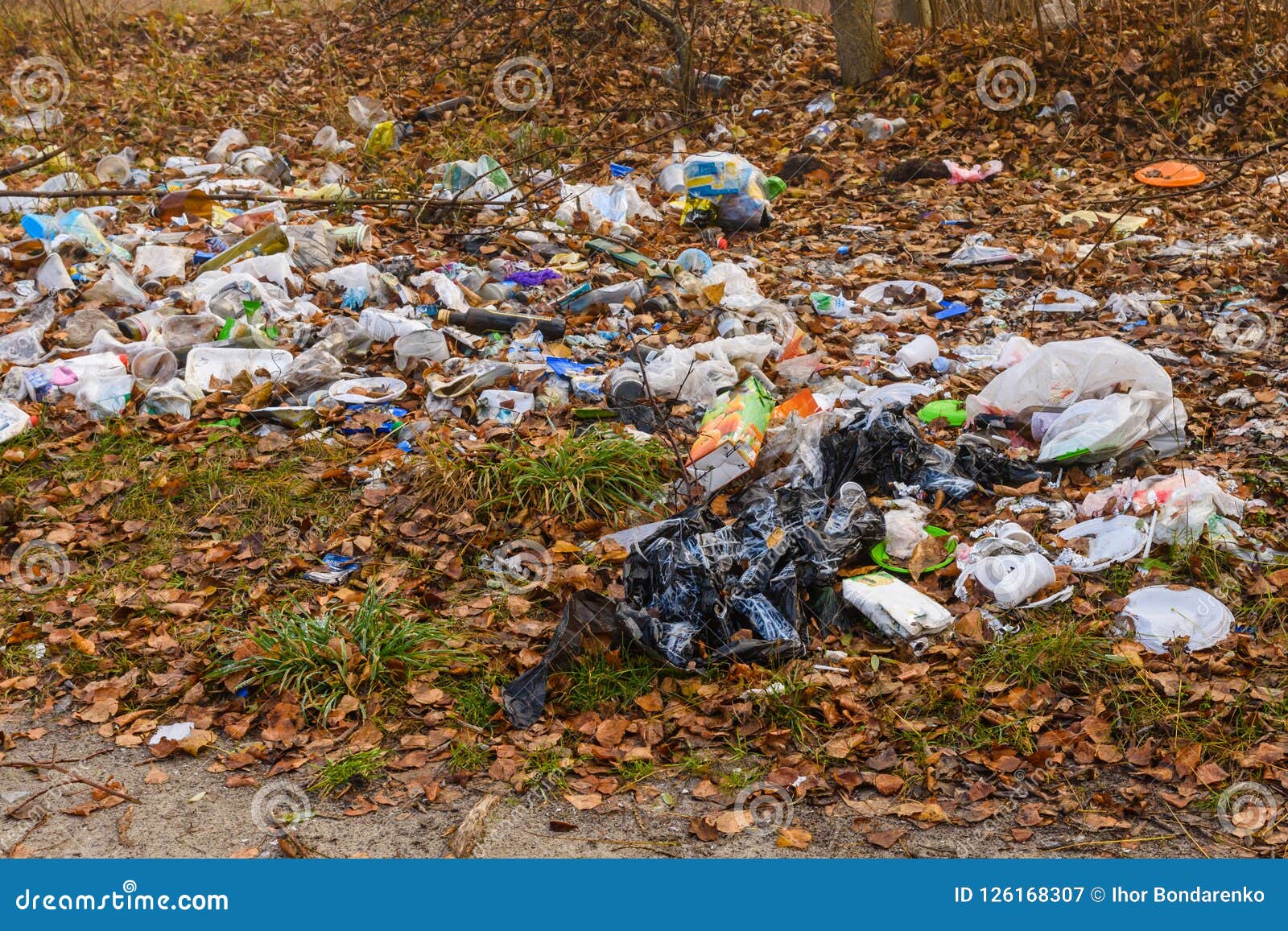 Different Garbage on a Ground in Forest Stock Image - Image of ...