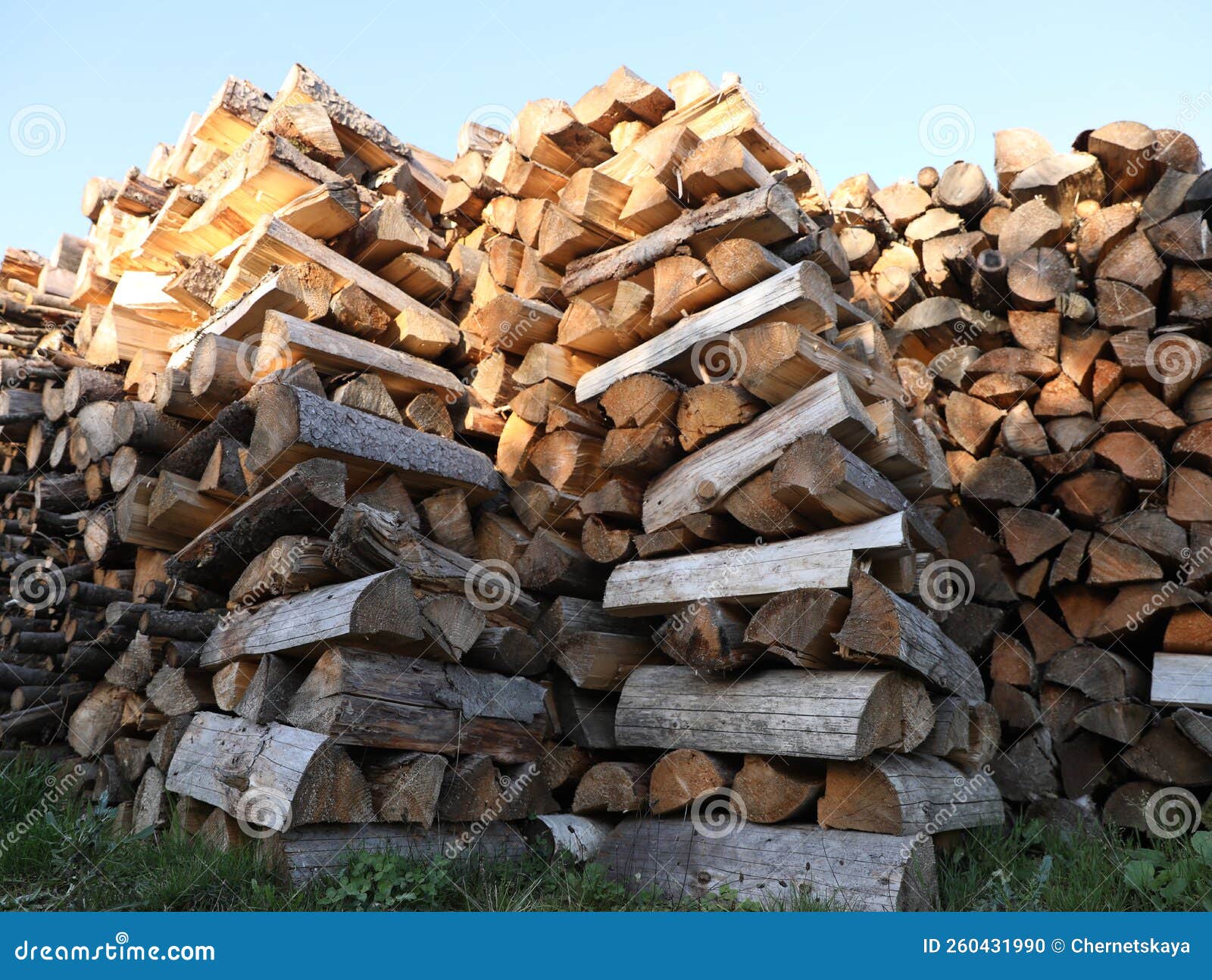 Piles of Dry Stacked Firewood in Grass Outdoors Stock Photo - Image of ...