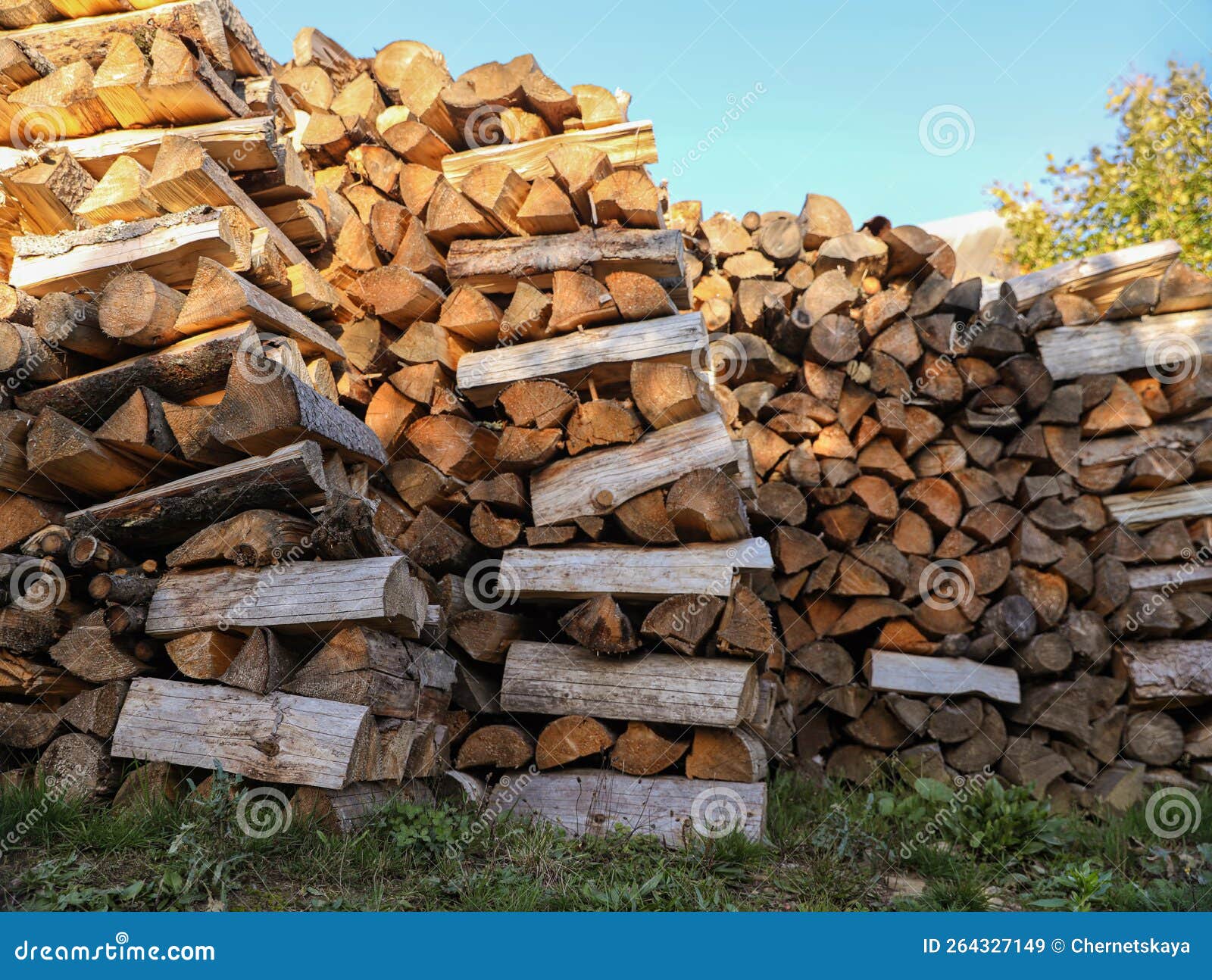 Piles of Dry Stacked Firewood in Grass Outdoors Stock Image - Image of ...