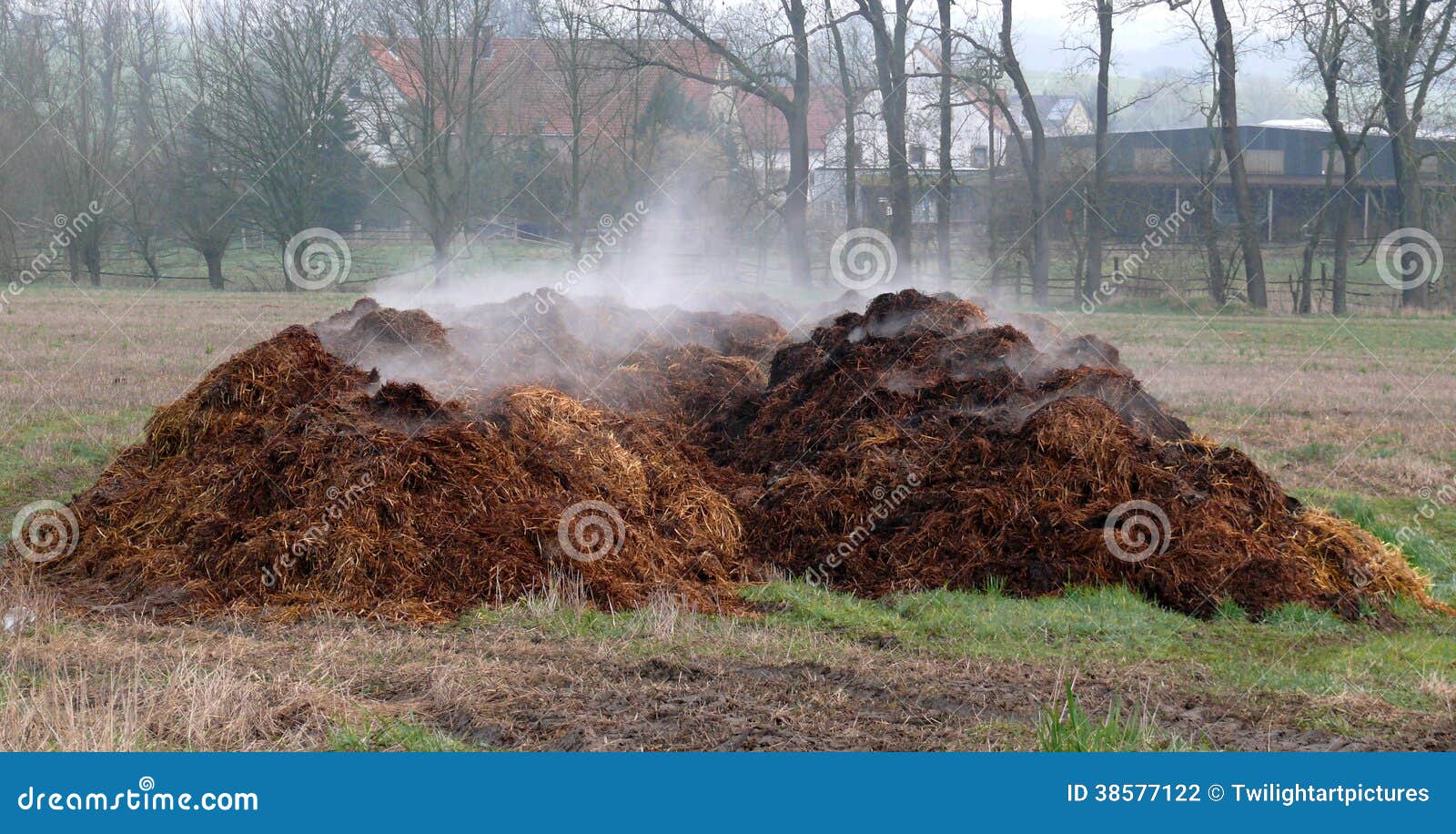 Piles of dung stock photo. Image of agriculture, muck - 38577122