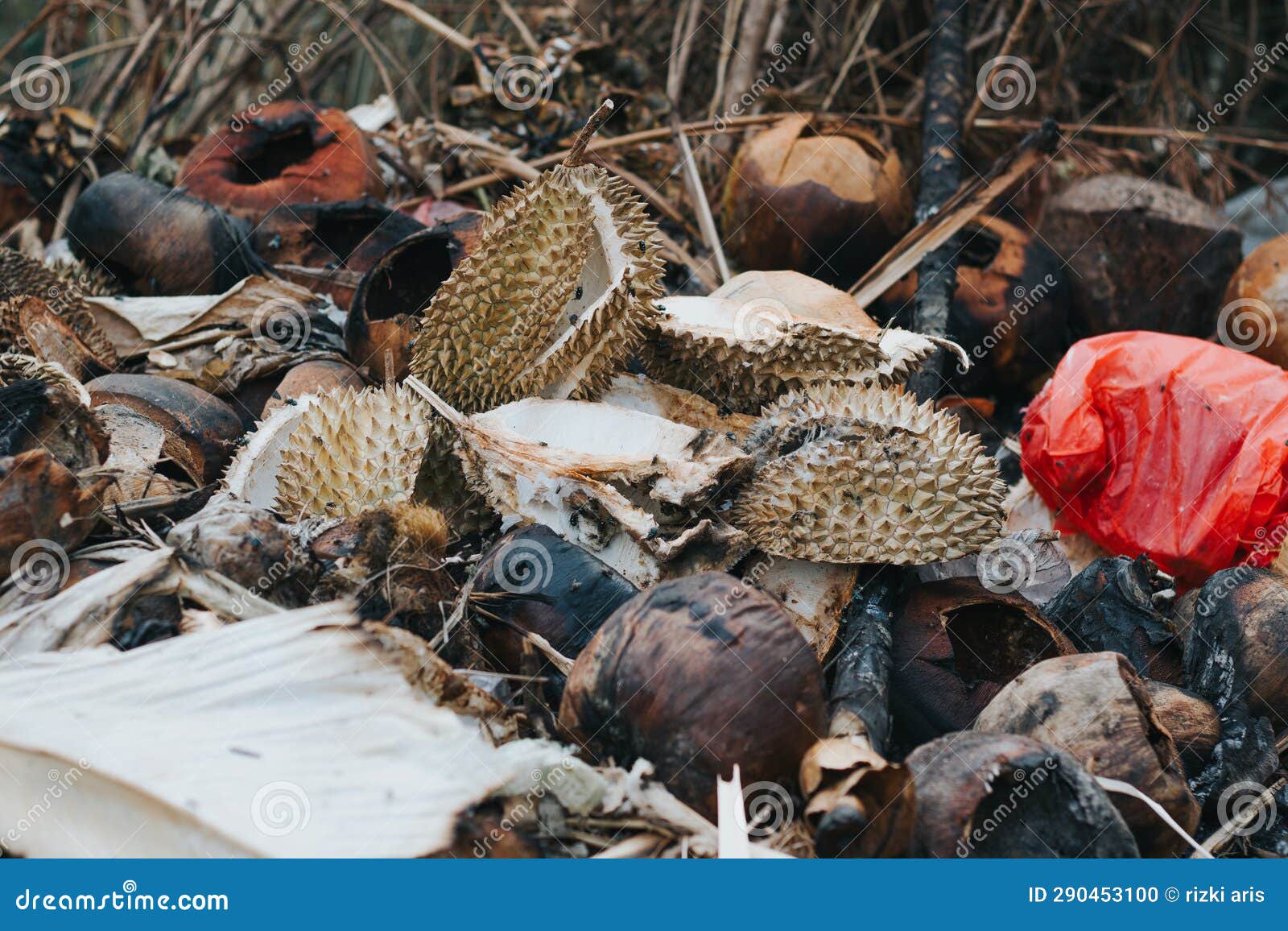 Piles of Durian Shell and Coconut Shell Waste Stock Photo - Image of ...