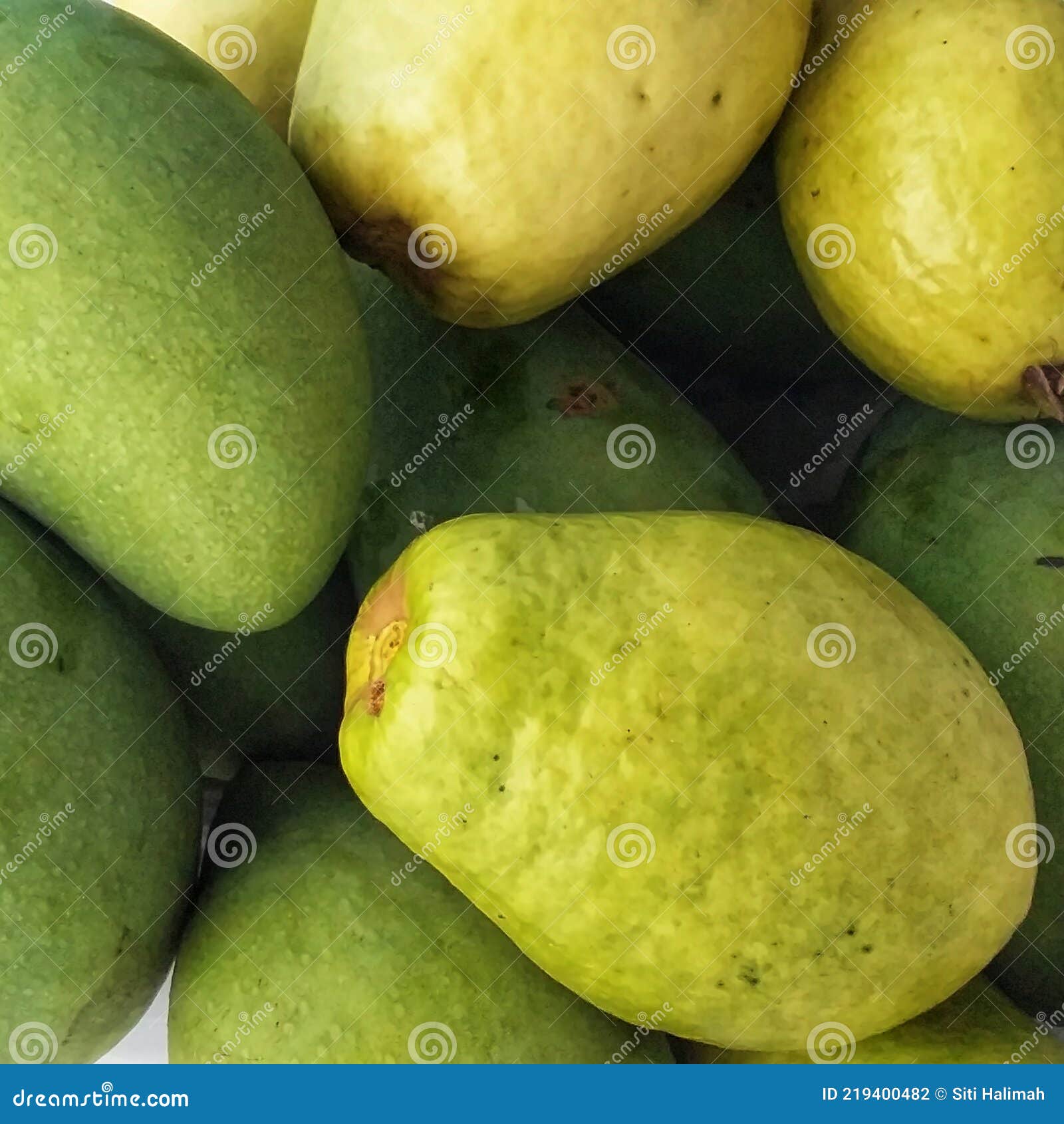 A Piles of Fresh Guava and Mango Stock Photo - Image of food, organic ...