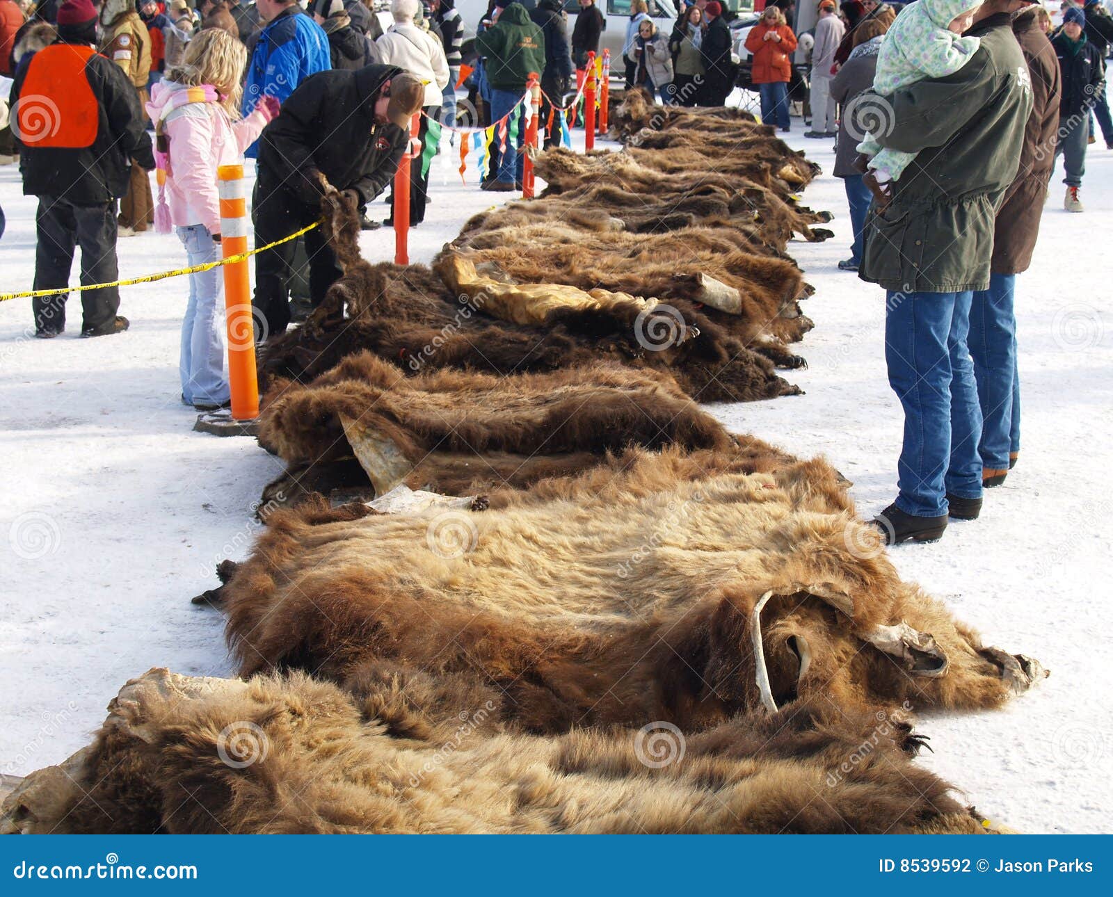Piles of Furs editorial photography. Image of snow, auction - 8539592
