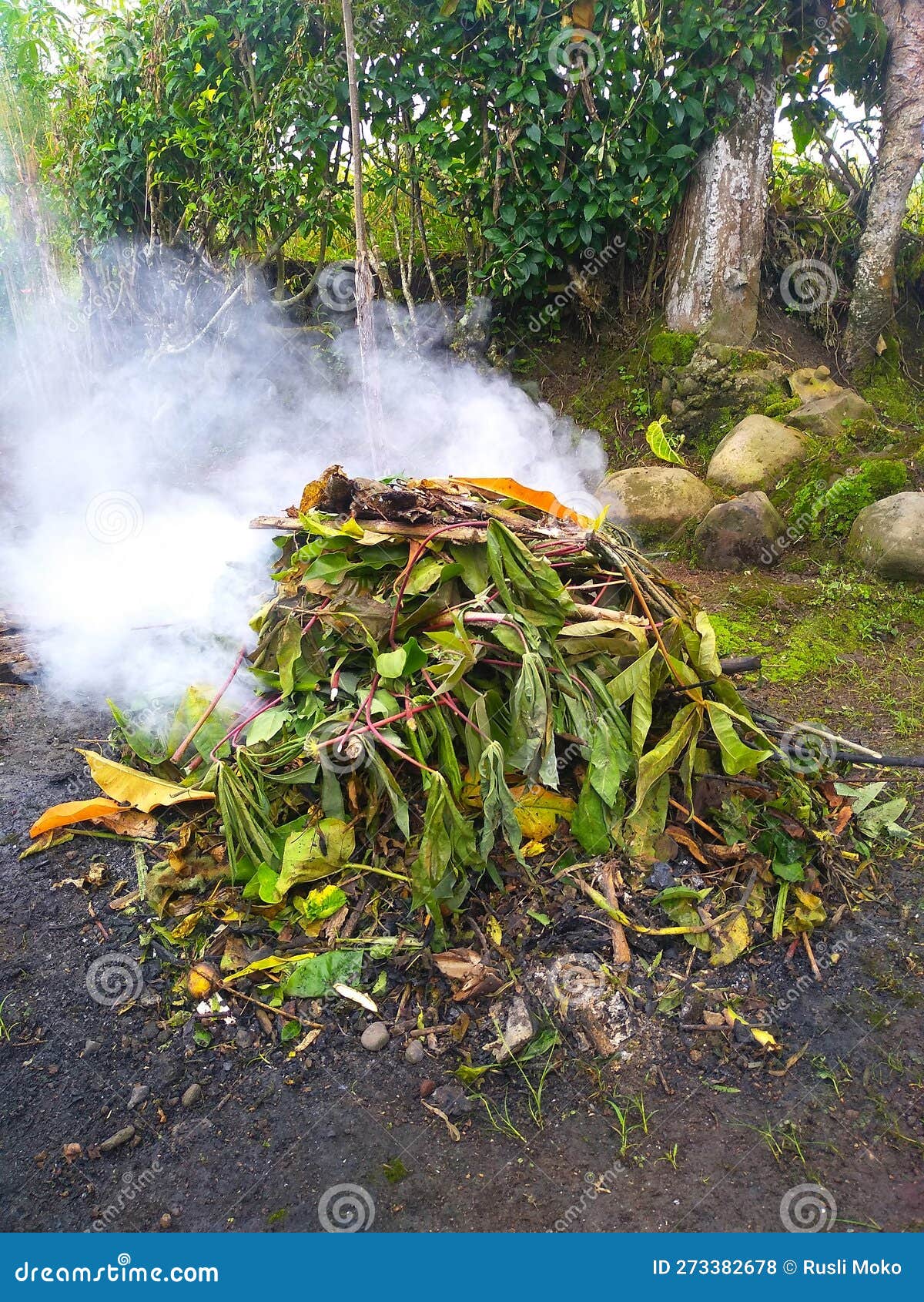 Piles of Garbage are Burned during the Day Stock Photo - Image of ...