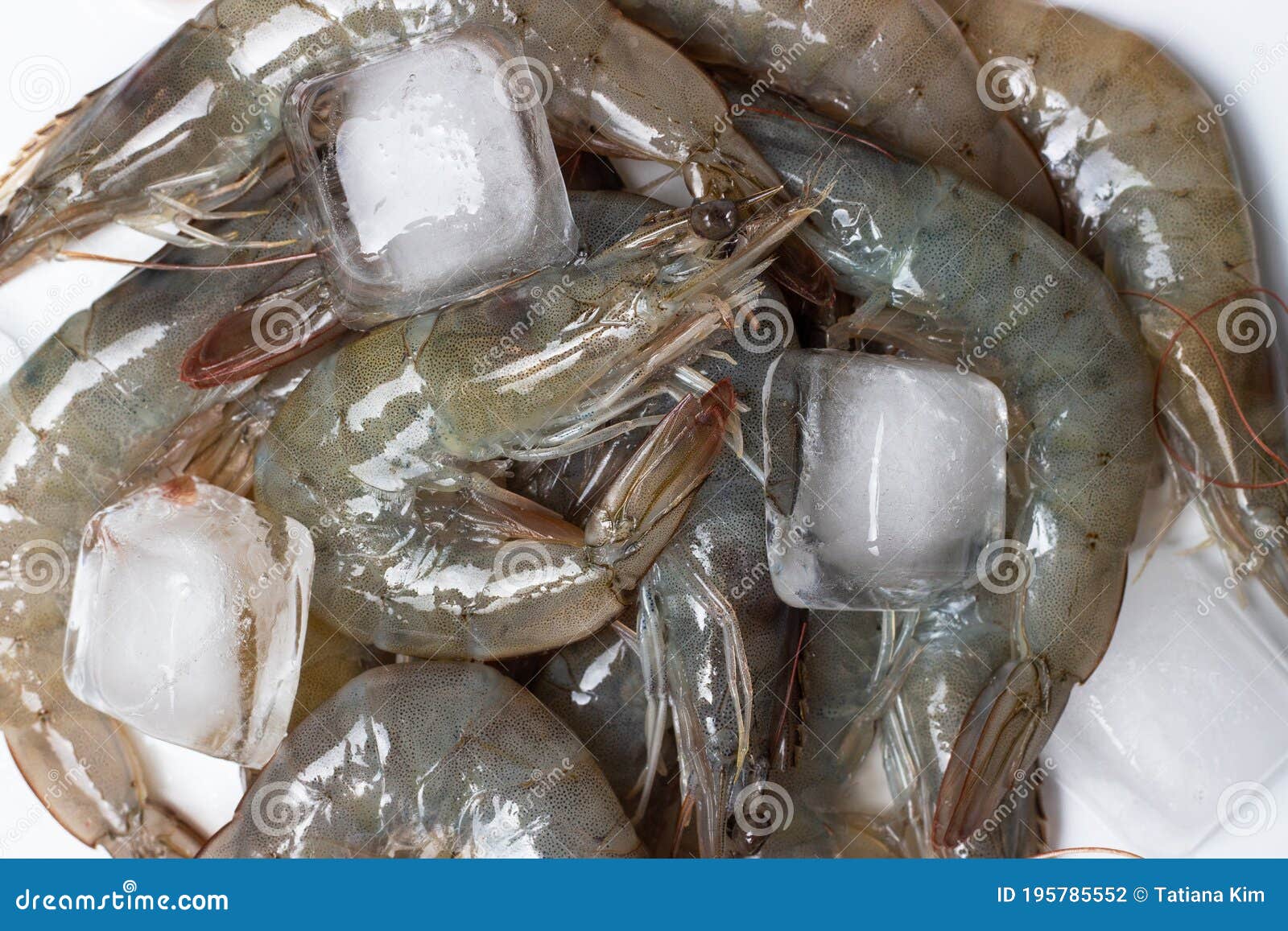 Piles of Gray Raw Shrimp with Ice Close Up Top View Stock Photo - Image ...