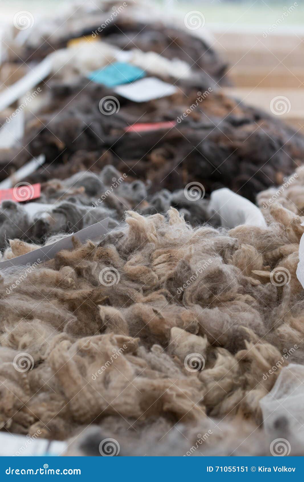 Piles of High Quality Merino Wool Stock Image - Image of abstract ...