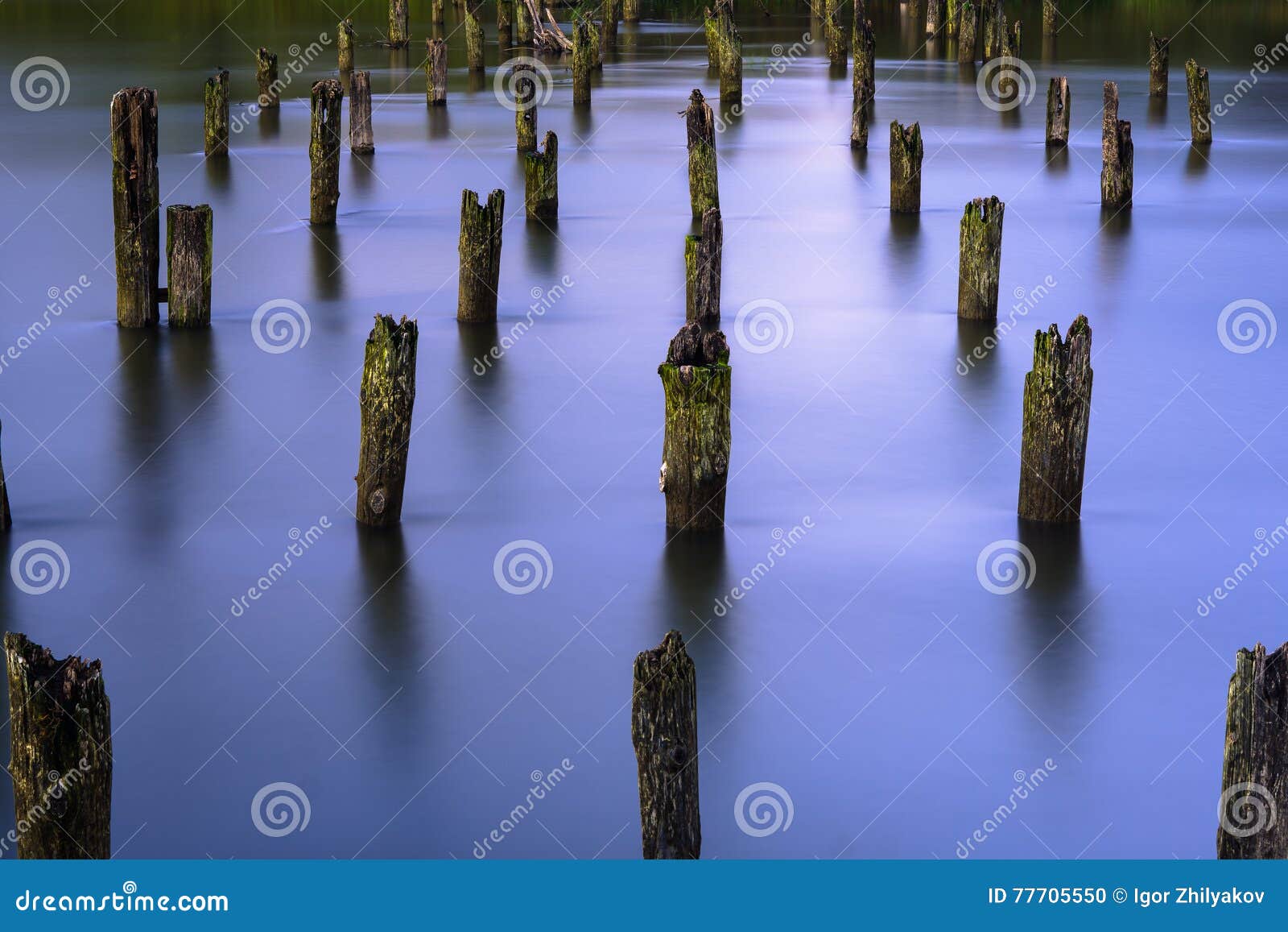 Piles of the old bridge stock photo. Image of water, symmetrically ...